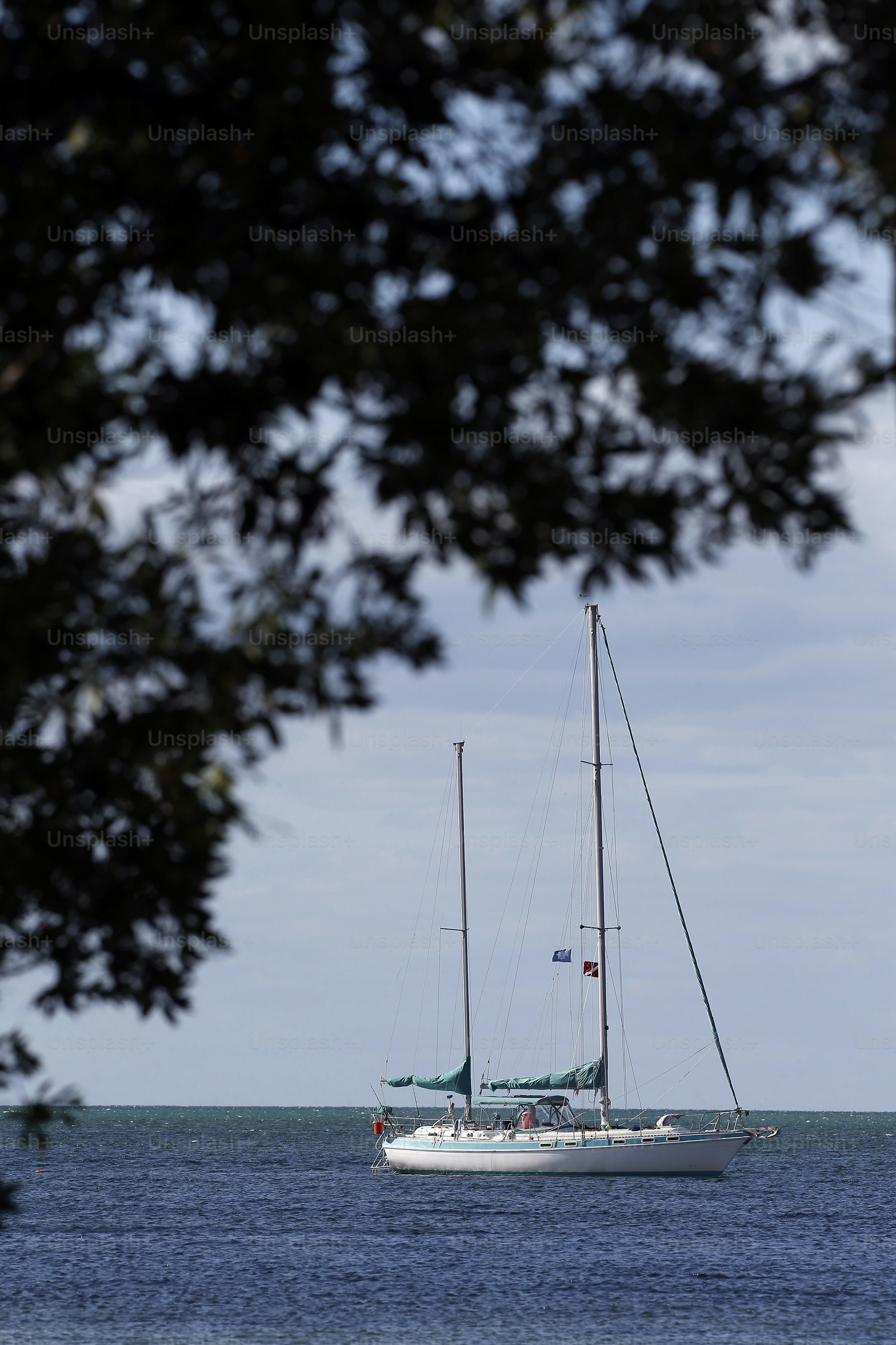 A sailboat in the middle of a body of water photo – Sailboat Image on ...