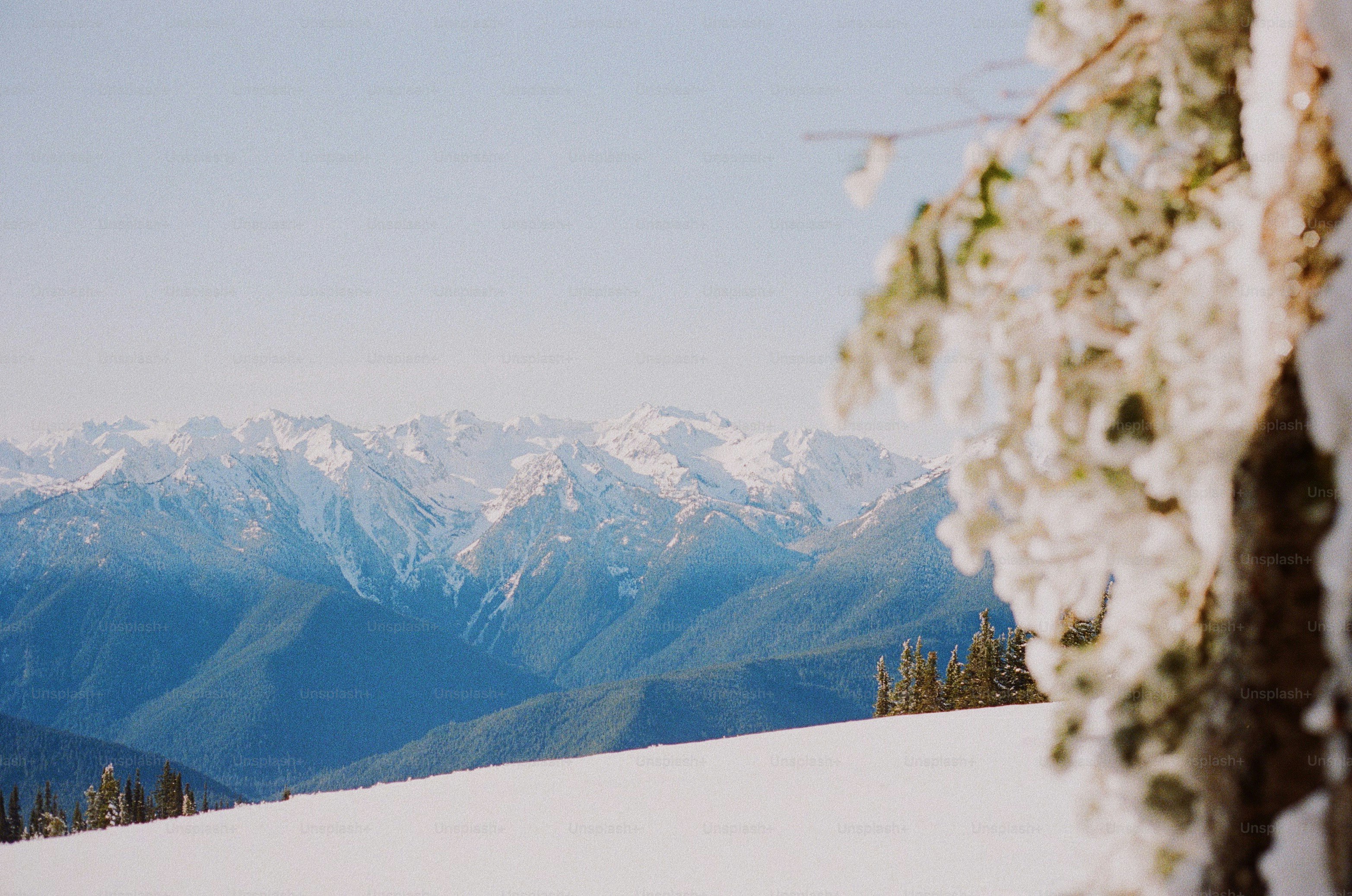A view of a mountain range from a distance photo – Analogue photography ...