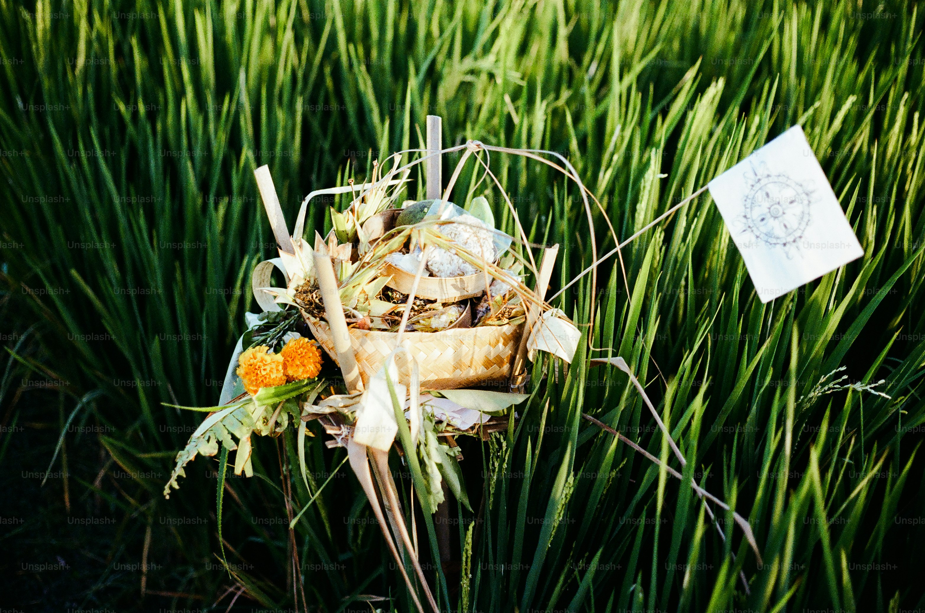 A basket of food sitting in the middle of some tall grass photo – Bali ...