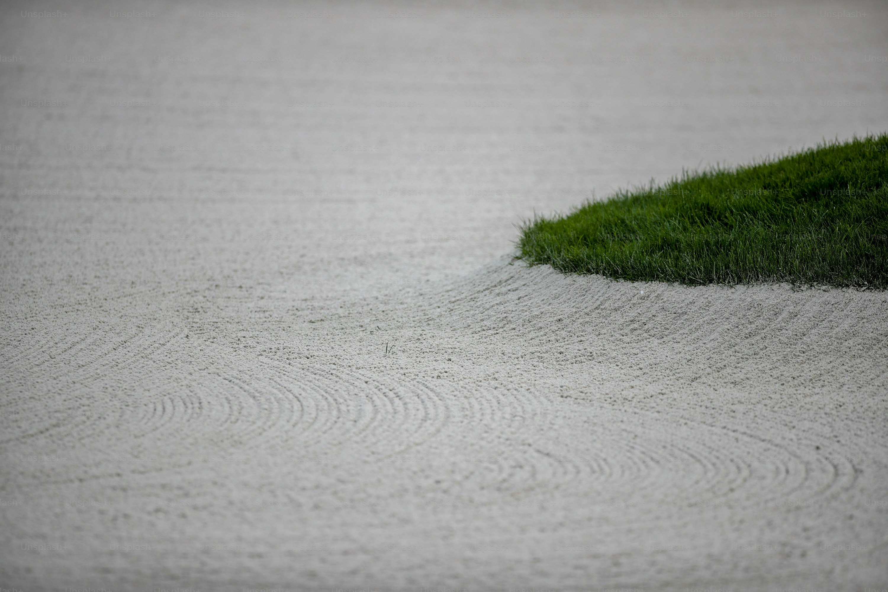A grassy area with a small patch of grass on top of it photo – Golf ...