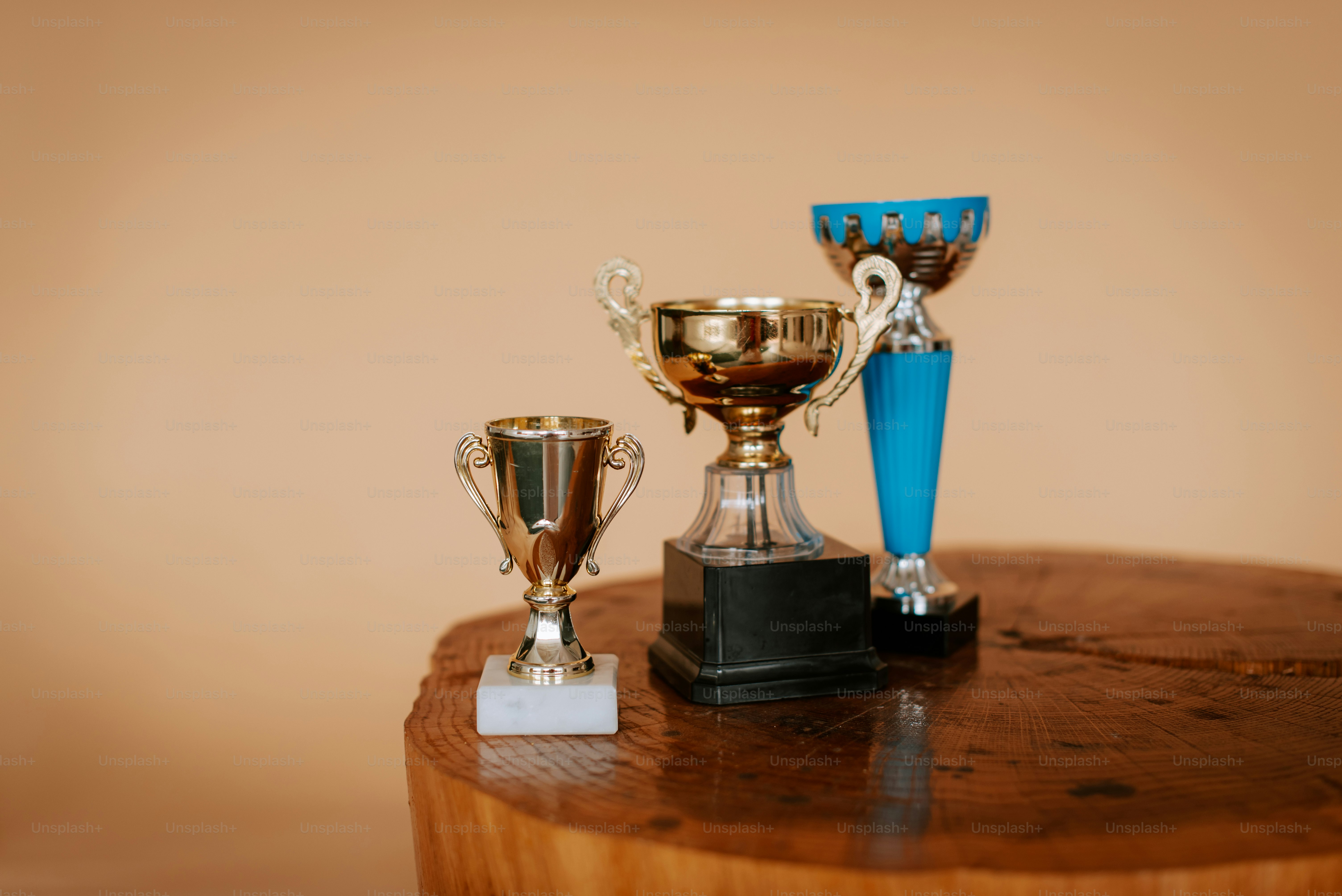 A table topped with lots of trophies and ribbons photo – Success Image ...