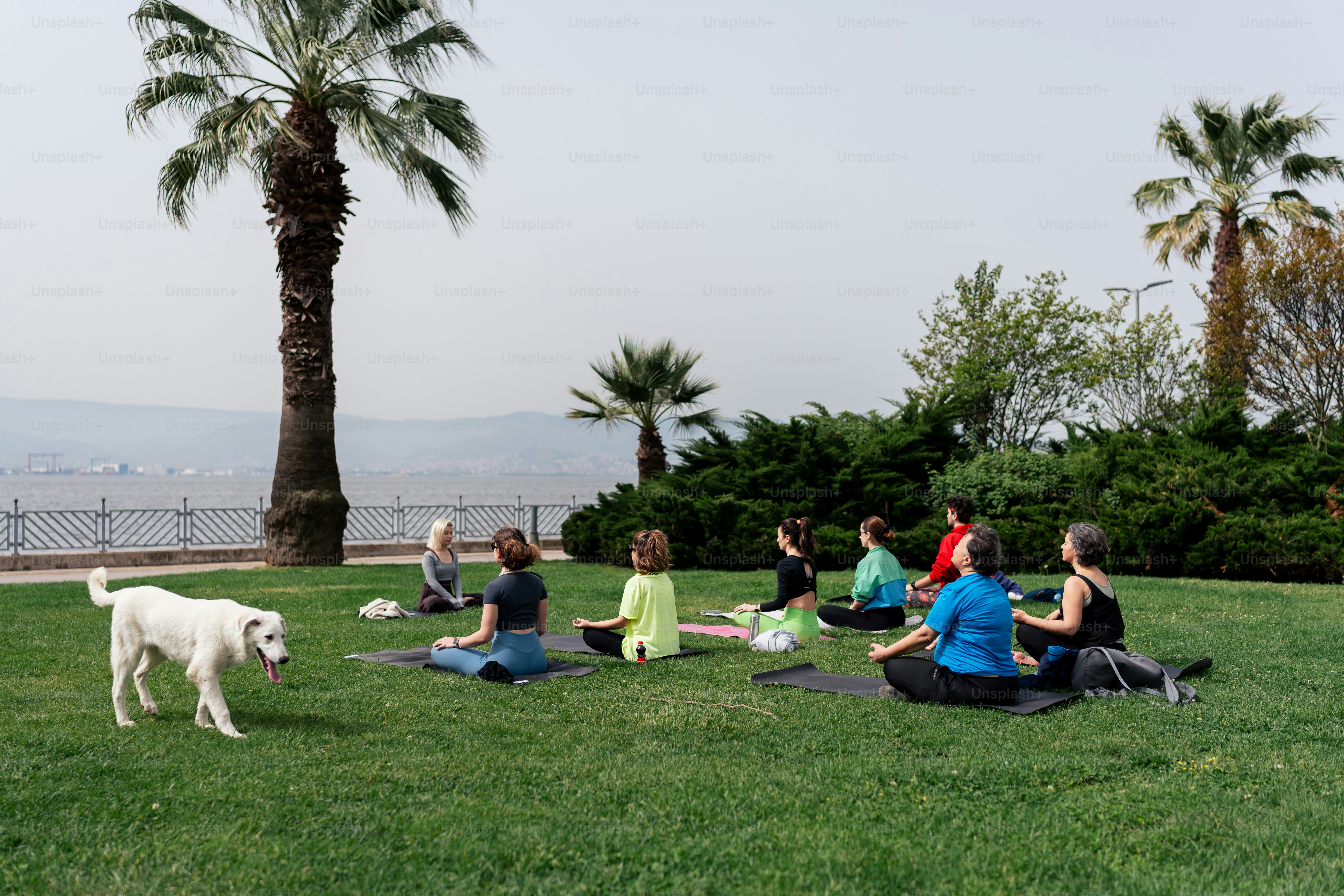 A group of people sitting on top of a lush green field photo – Yoga ...