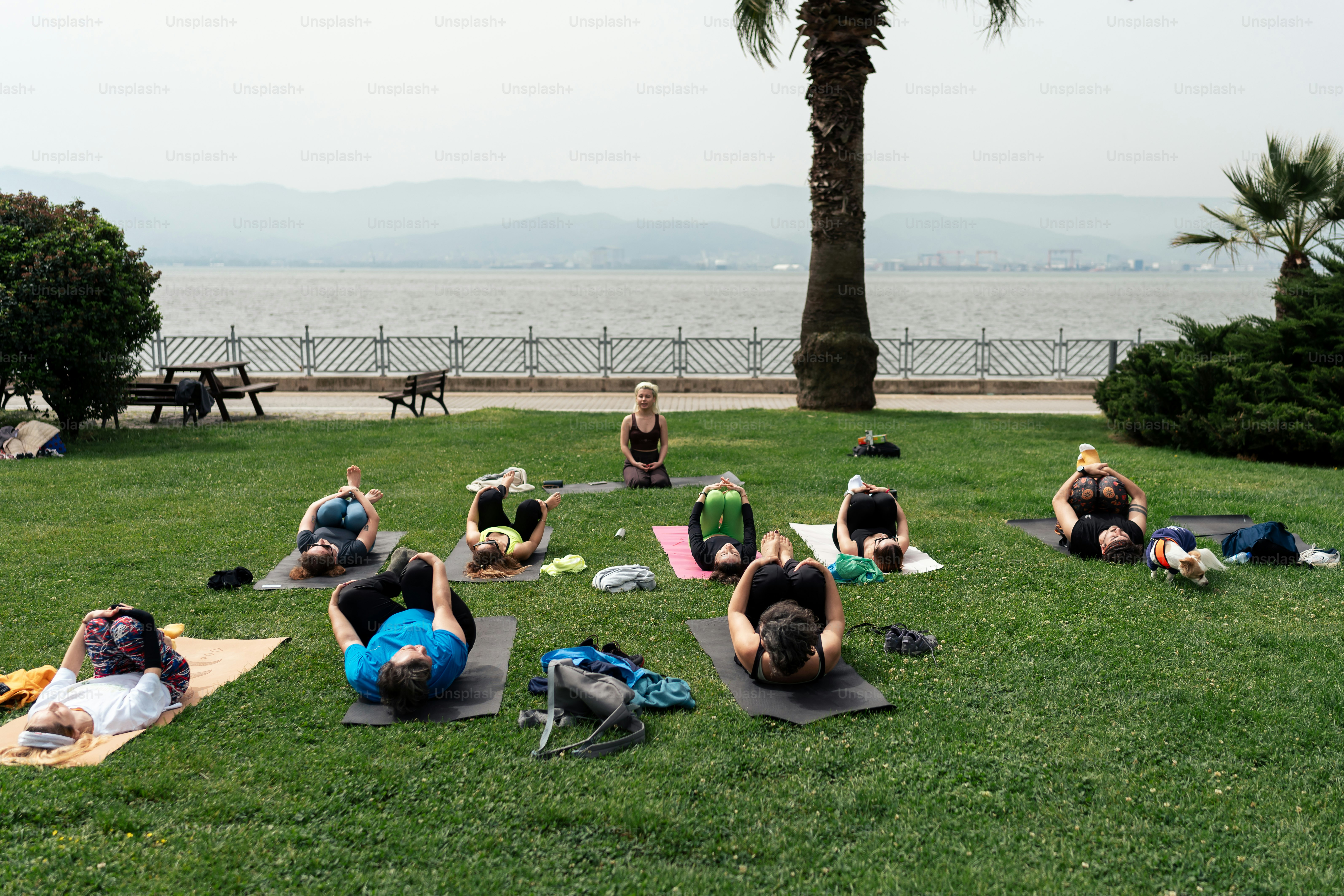 A group of people doing yoga in a park photo – Yoga Image on Unsplash