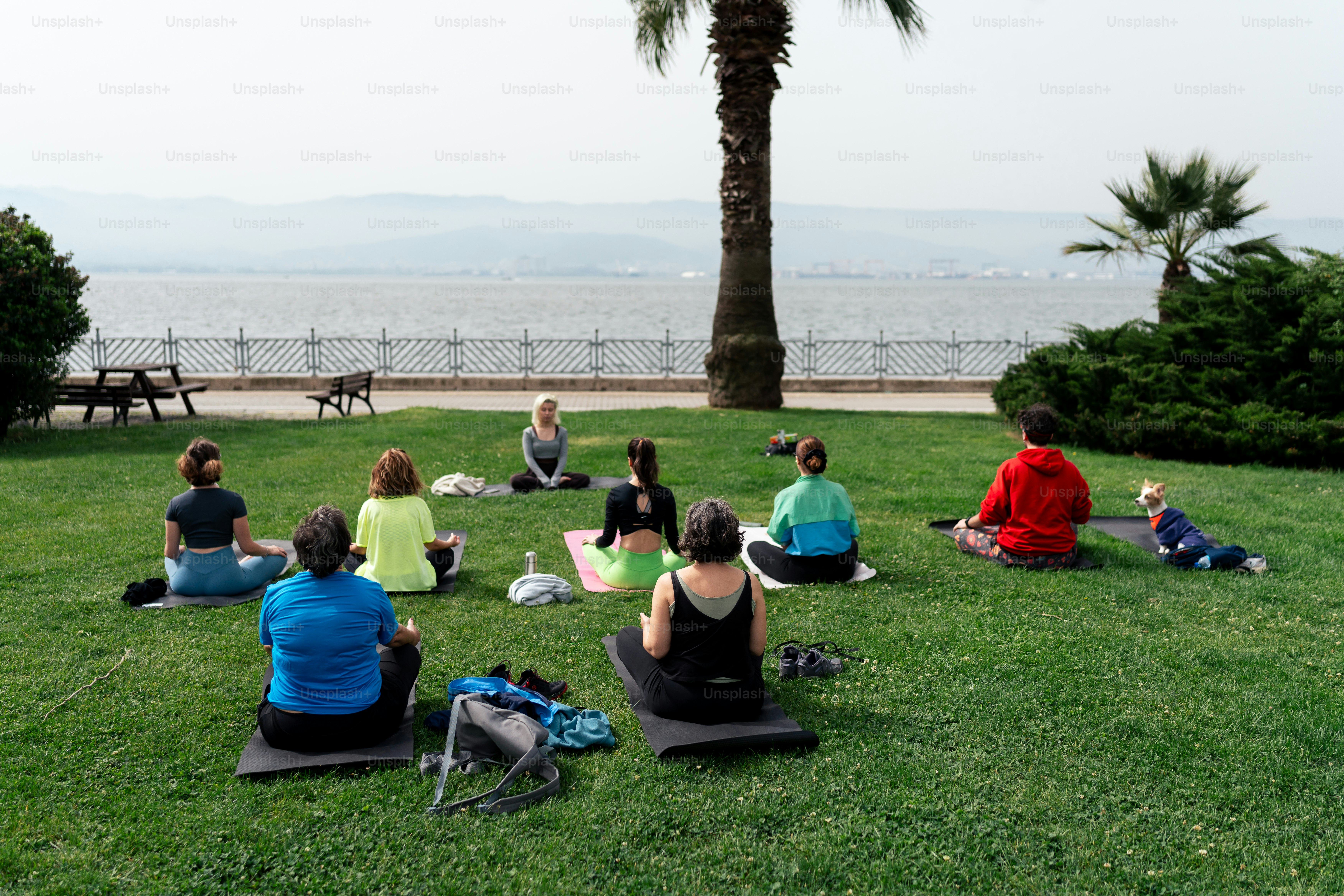 A group of people sitting on top of a lush green field photo – Wellness ...