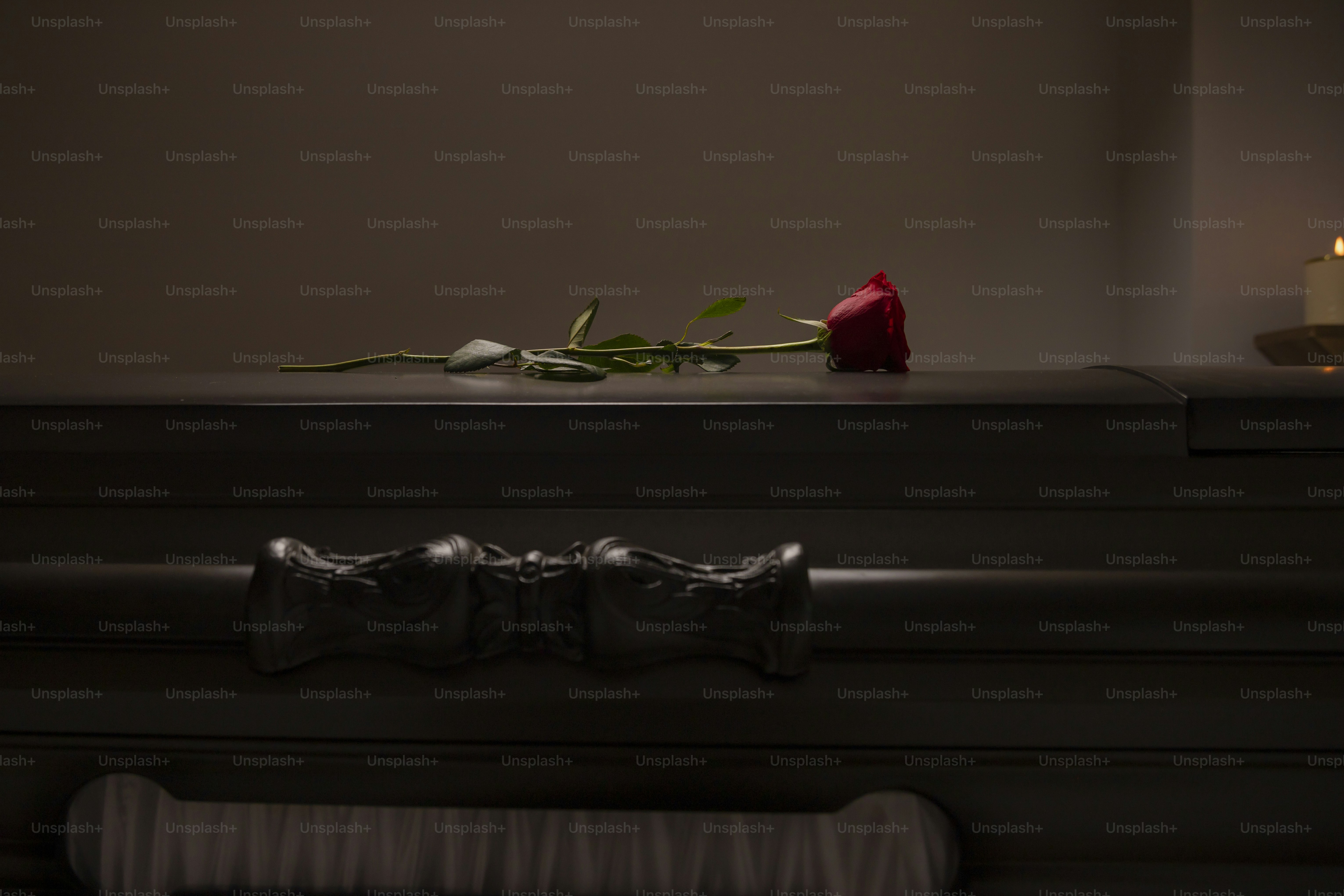 A single rose sitting on top of a casket photo – Coffin Image on Unsplash