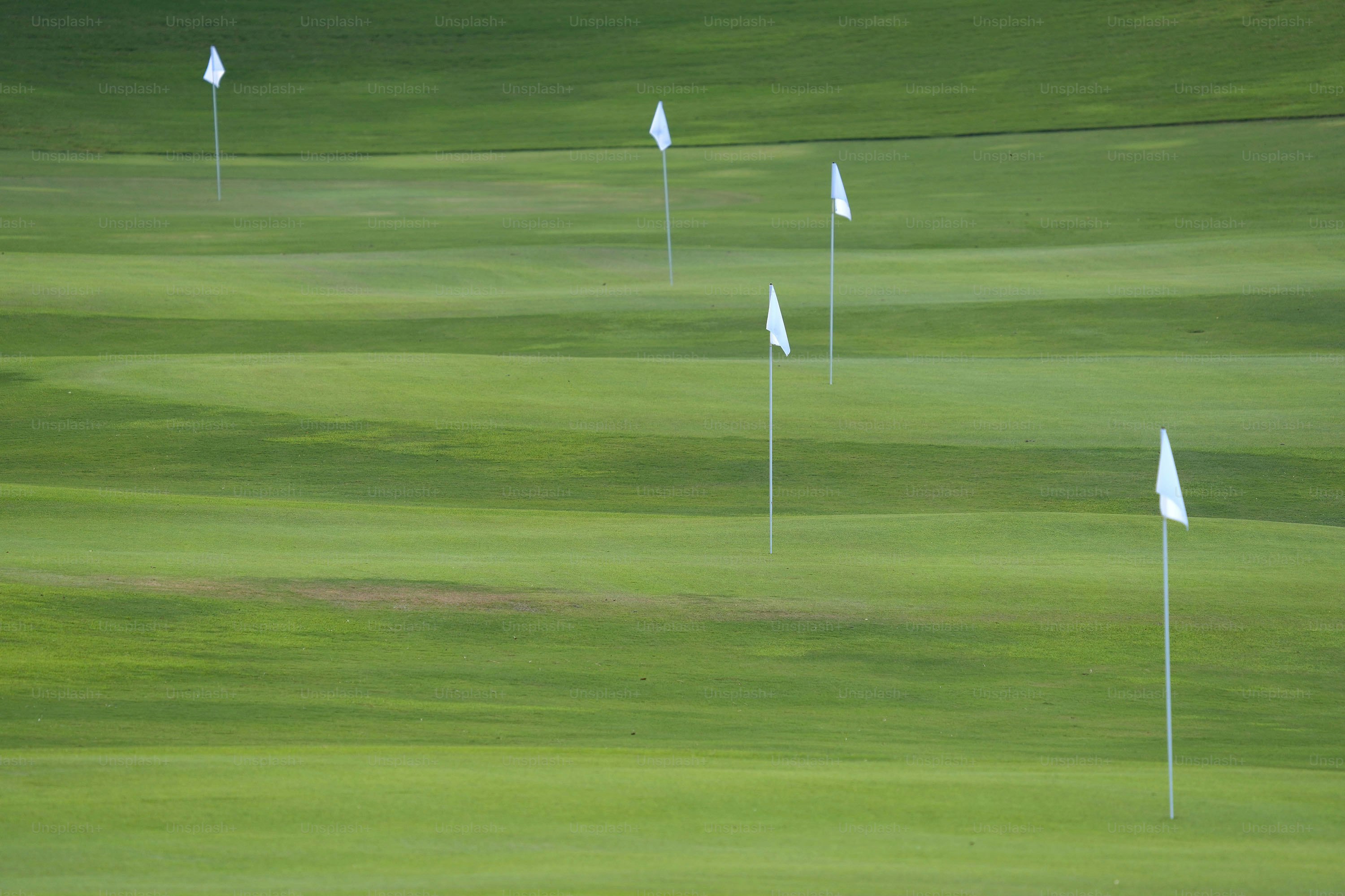 A green golf course with several white flags photo – Flag Image on Unsplash