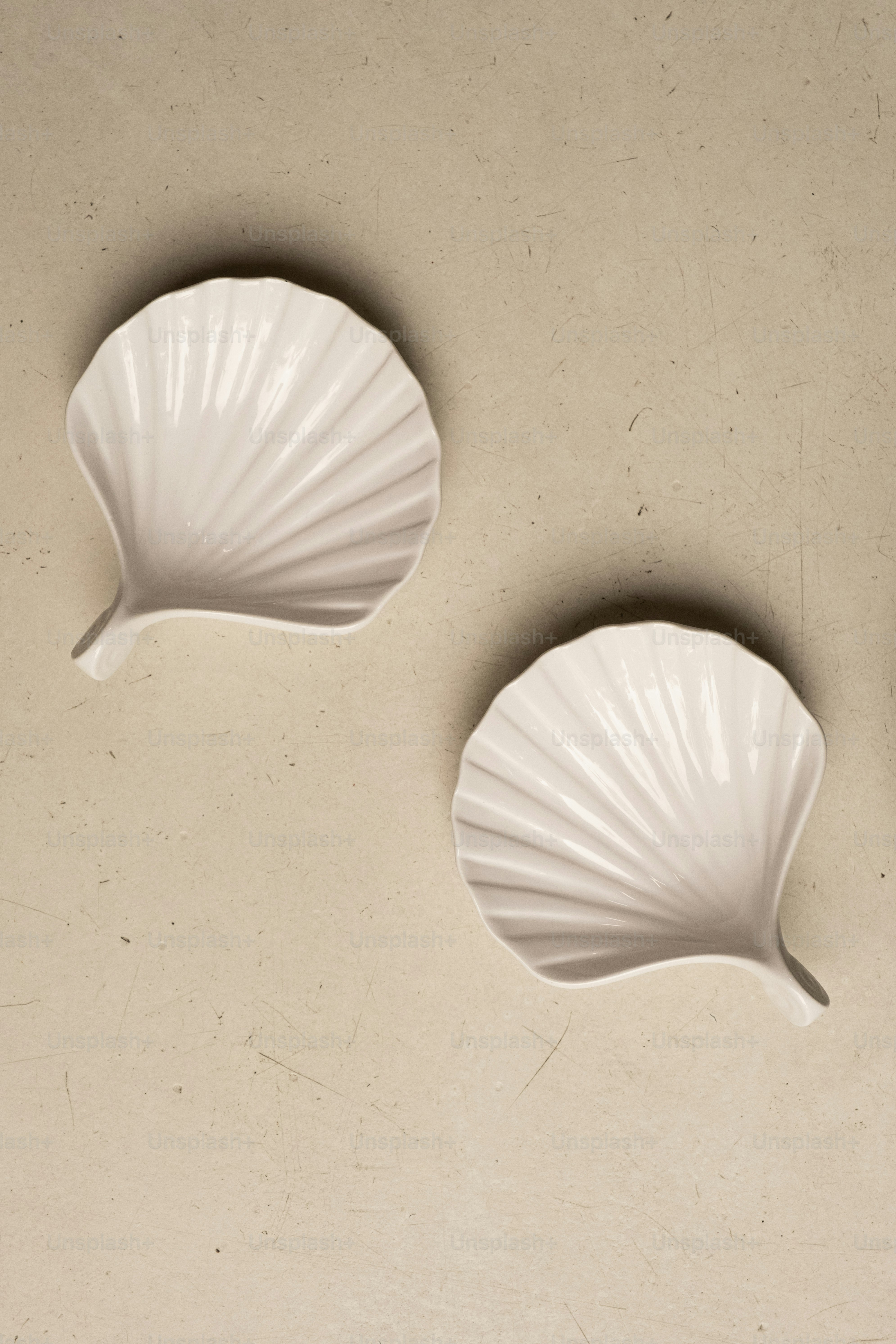Three seashell shaped dishes on a table photo – Shell shaped Image on ...
