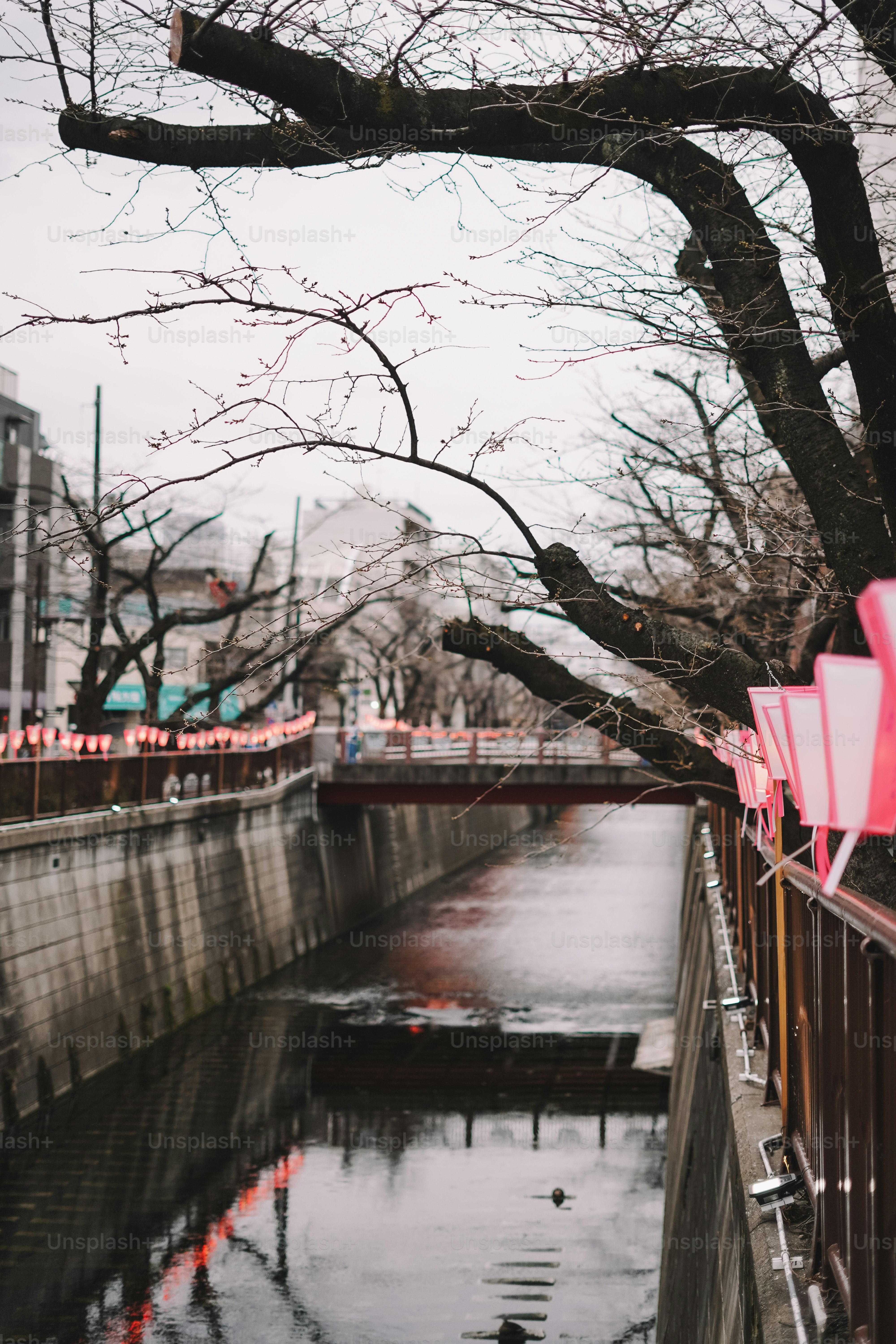 Un río que atraviesa una ciudad junto a un puente foto – Imagen de Río ...