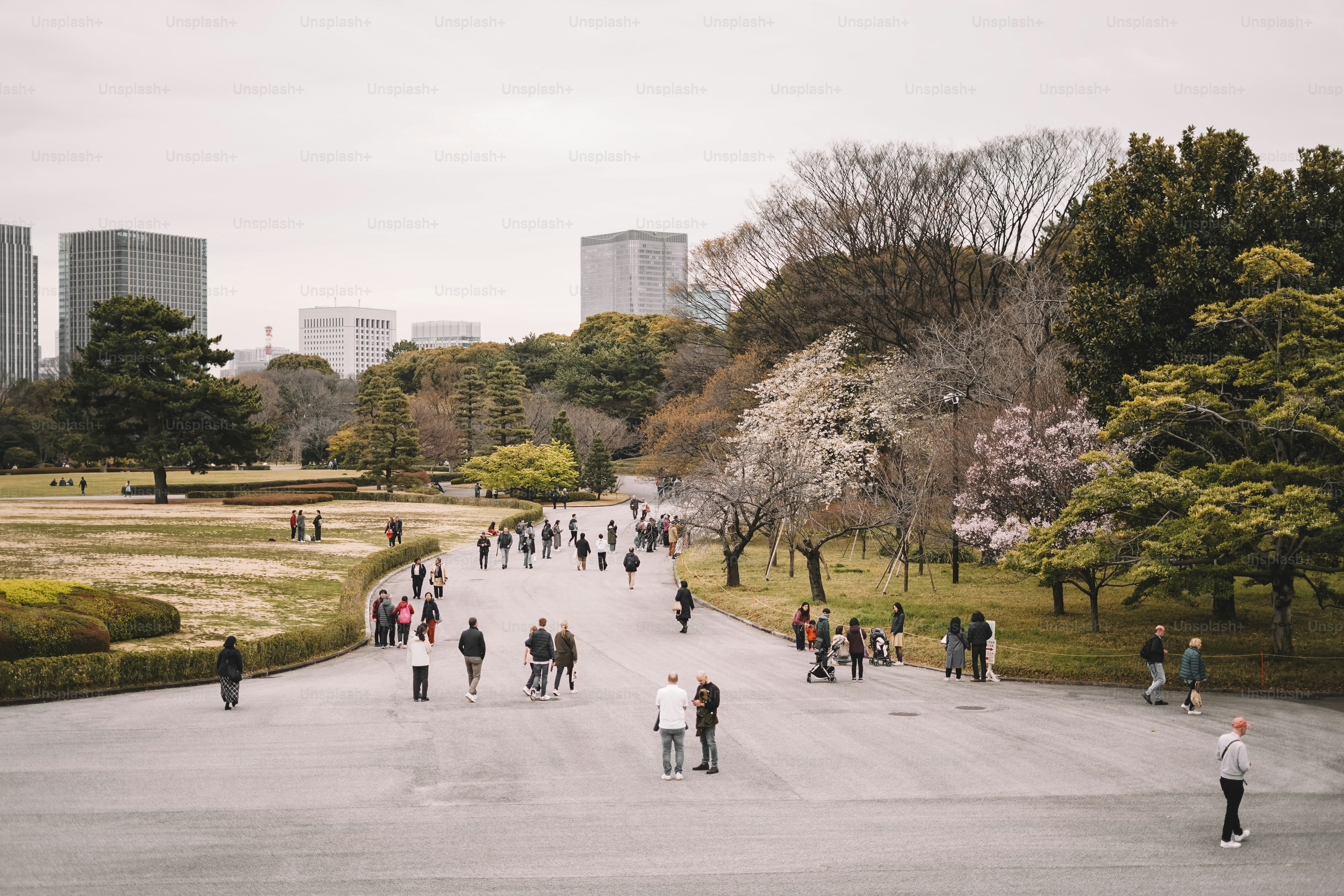 A group of people walking around a park photo – Tokyo Image on Unsplash