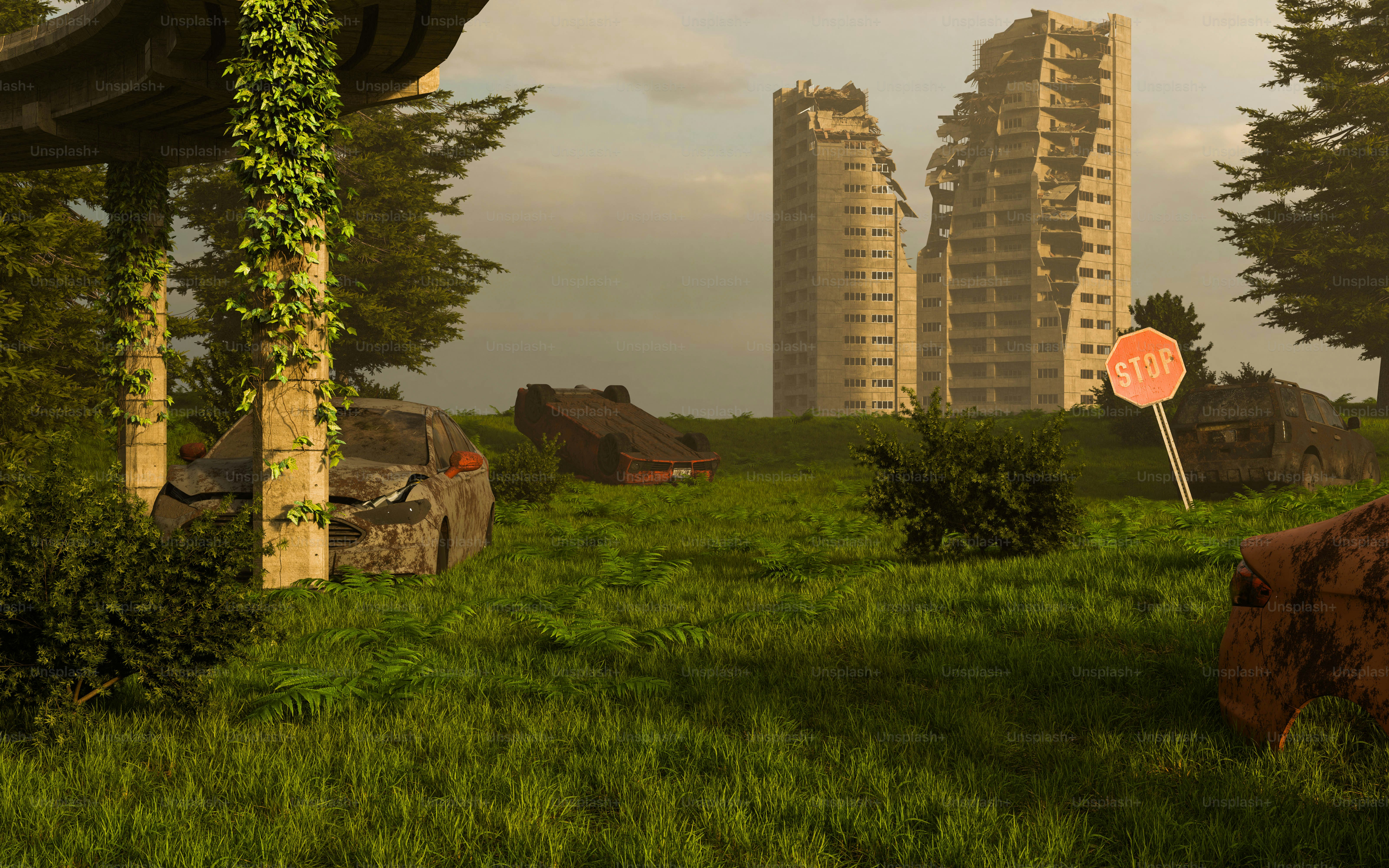 A red stop sign sitting on top of a lush green field photo – Post ...