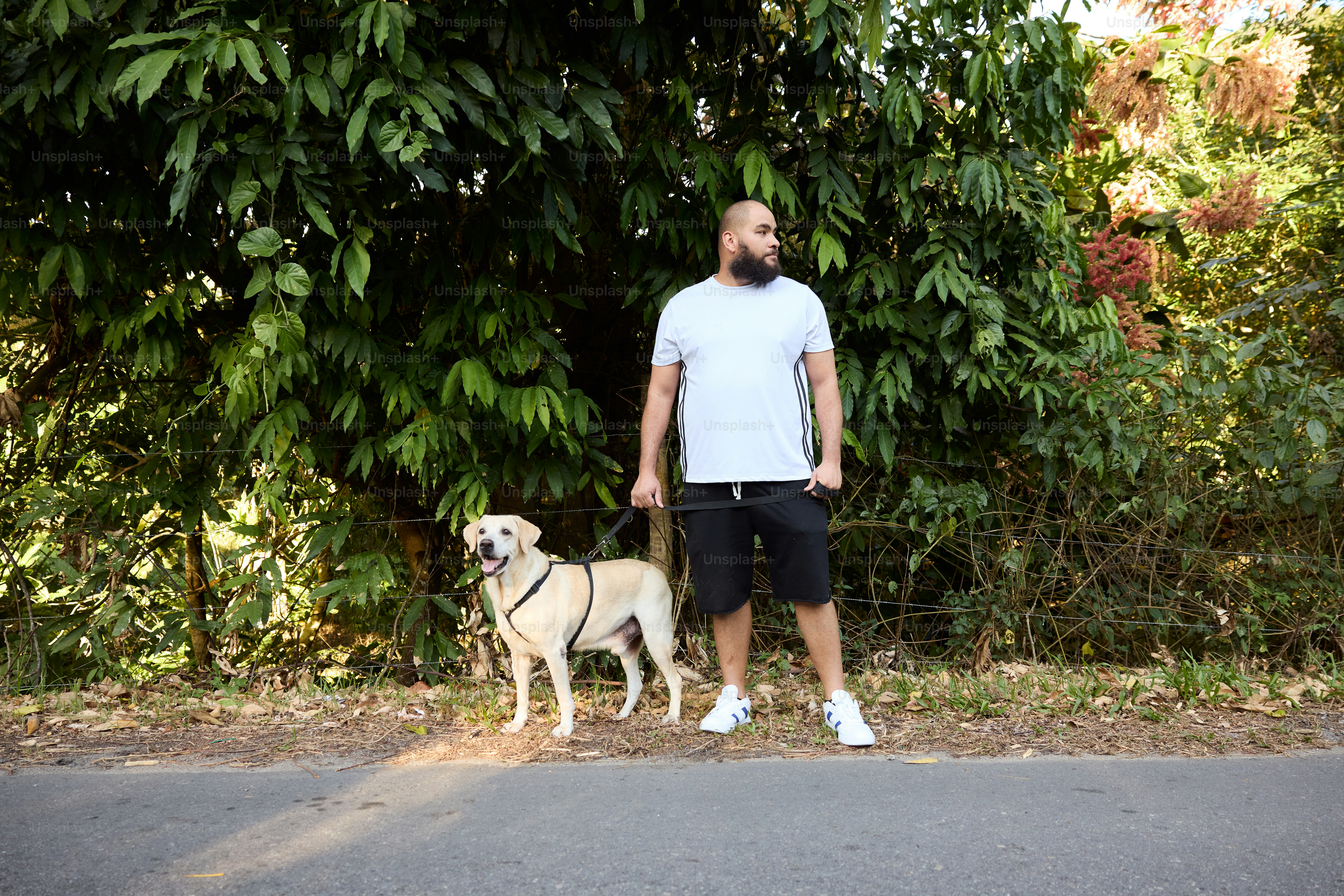 A man standing next to a dog on a leash photo – Man Image on Unsplash