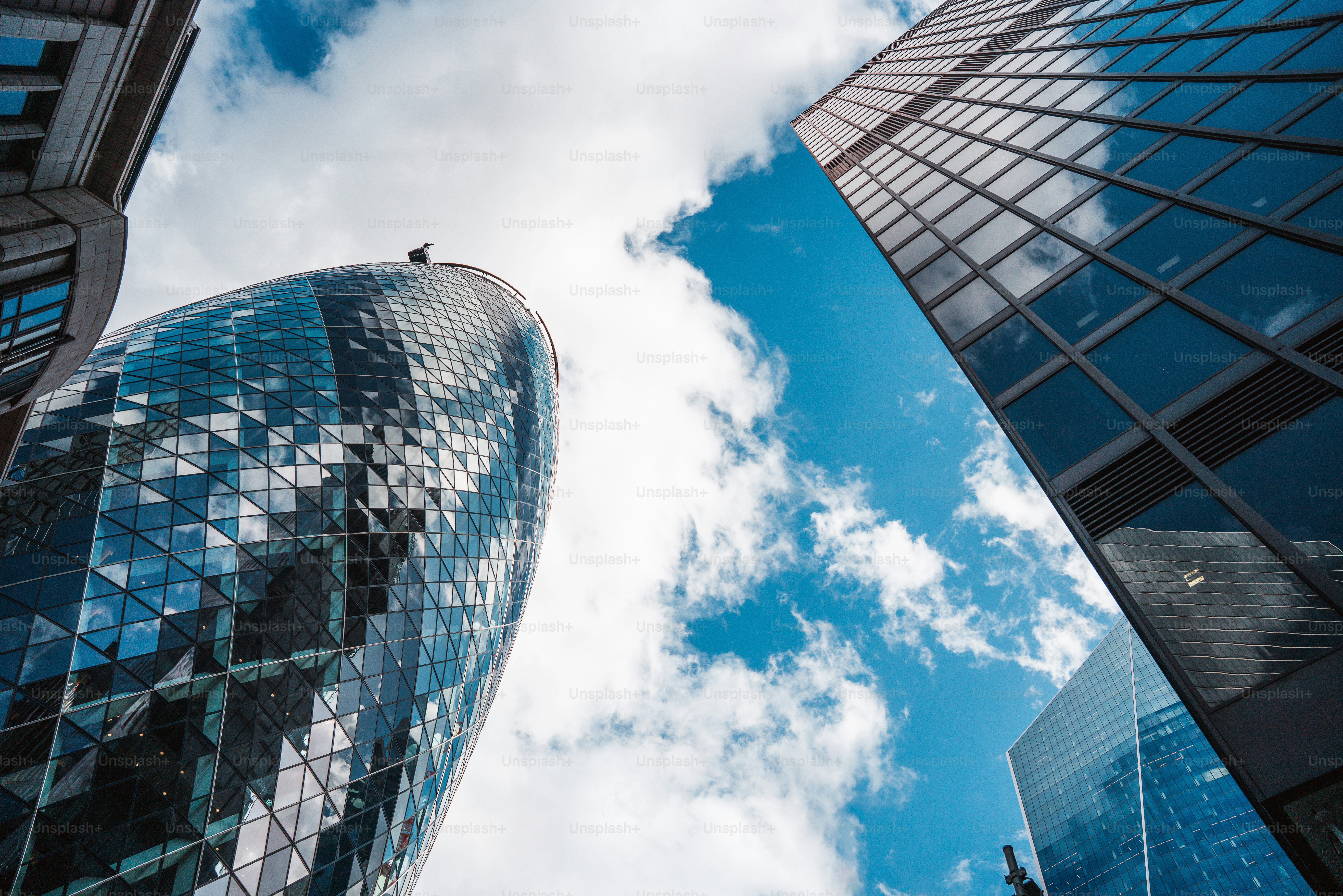 A bird is perched on the top of a building photo – London Image on Unsplash