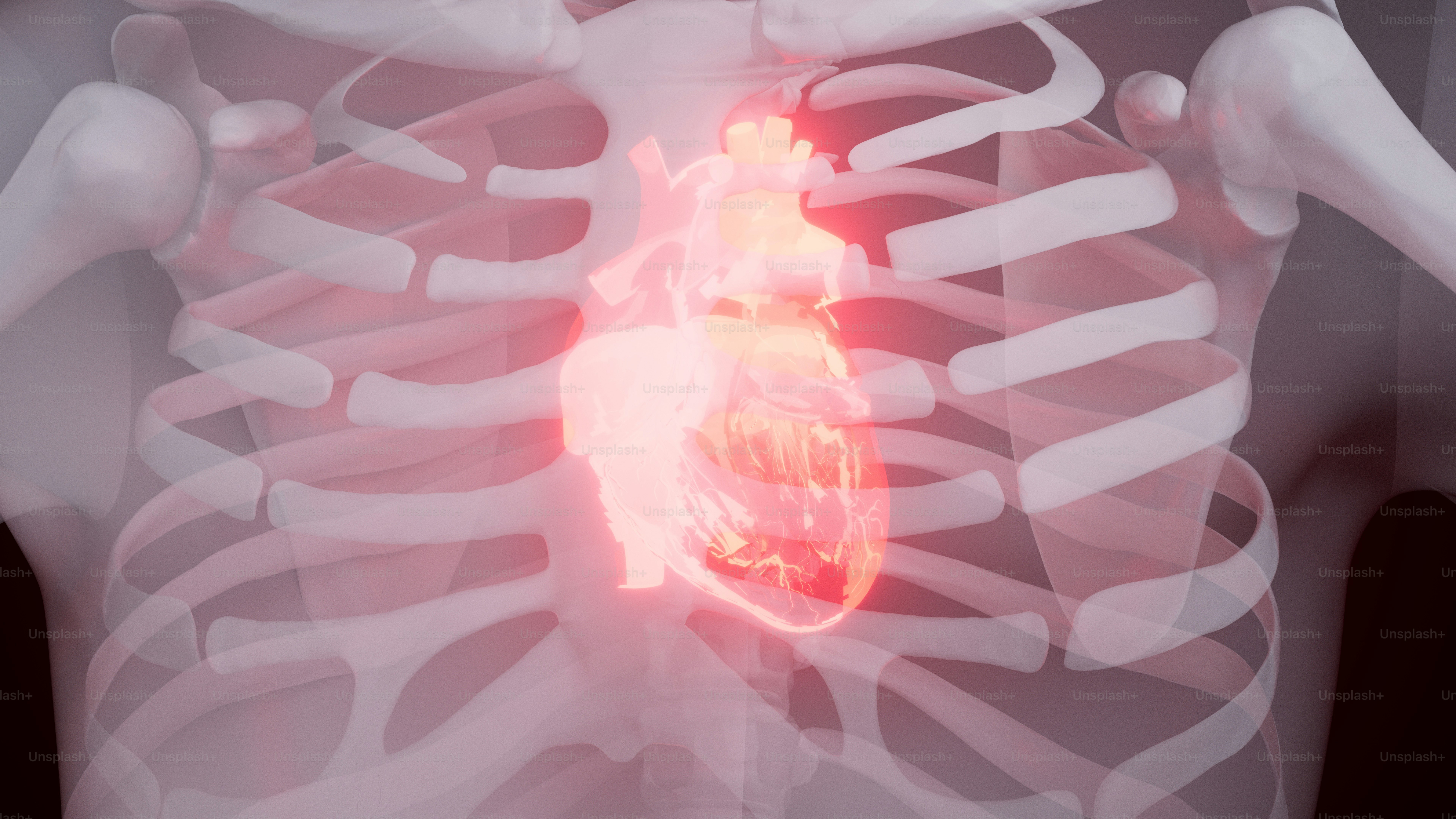 Echocardiogram Pictures | Download Free Images on Unsplash