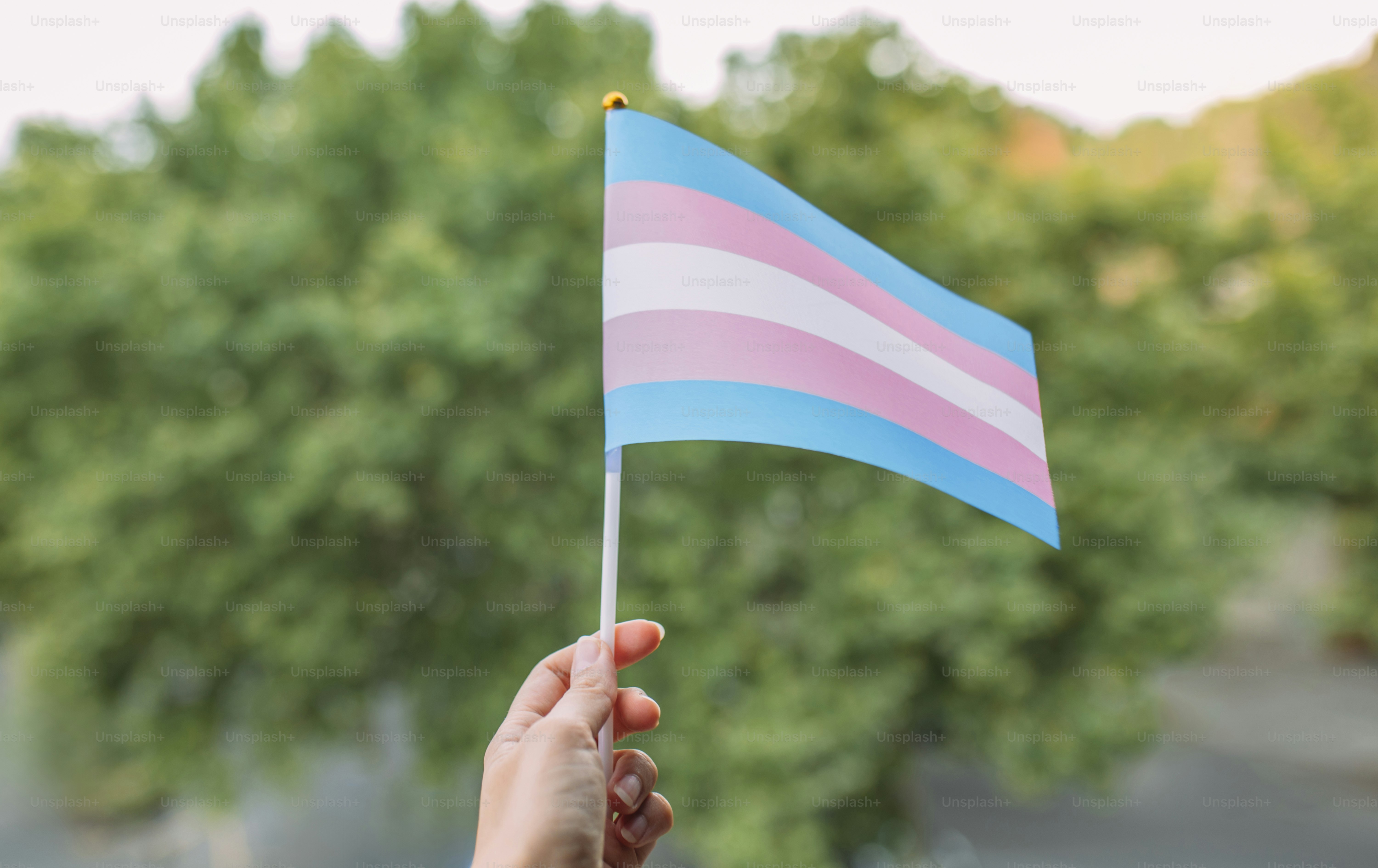 A hand holding a small blue and pink flag photo – Pride flag Image on ...