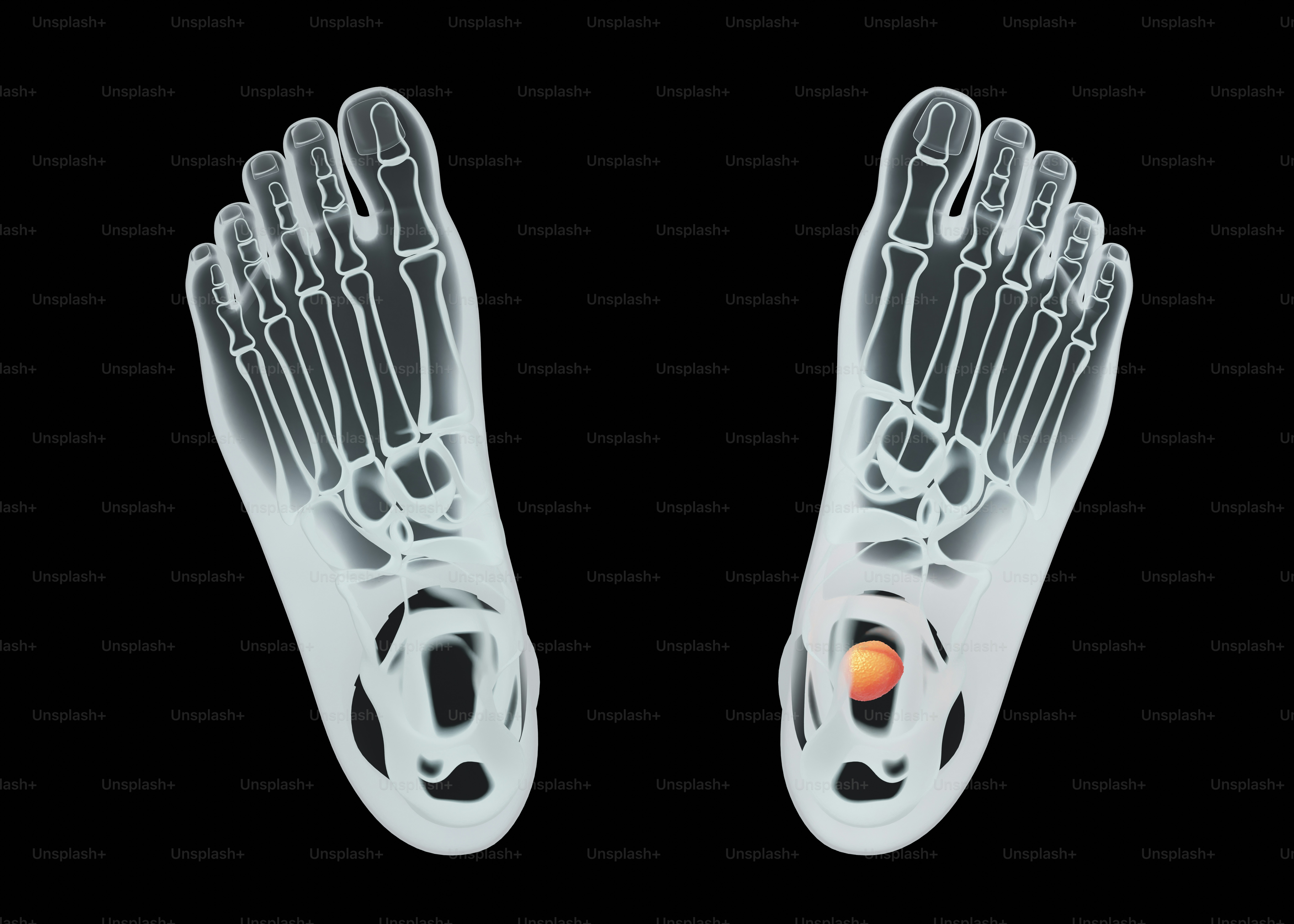 A pair of foot bones with a ball in the middle photo – 3d render Image ...
