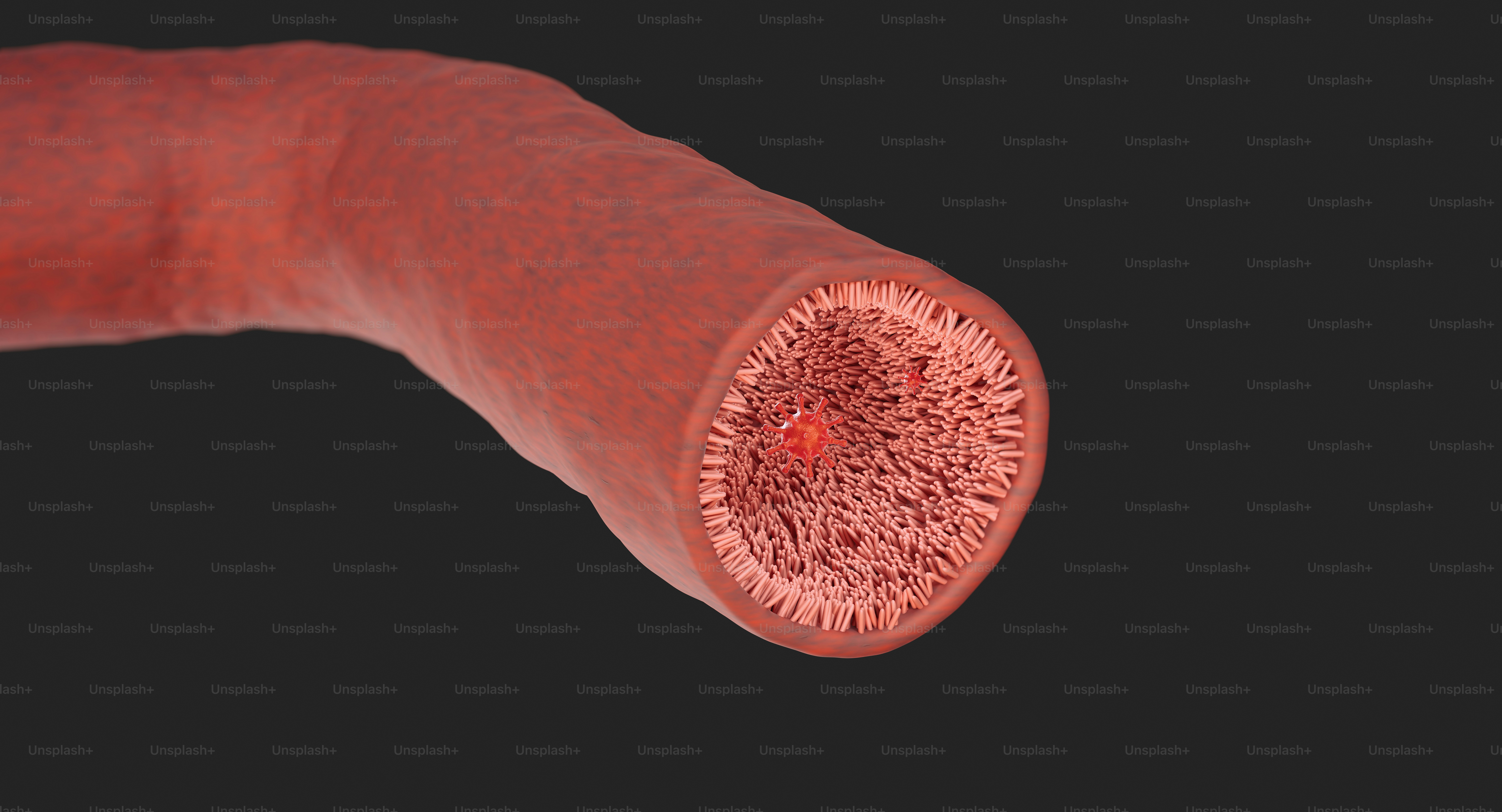 Un gros plan d’un vaisseau sanguin sur fond noir photo – Image de Rendu ...