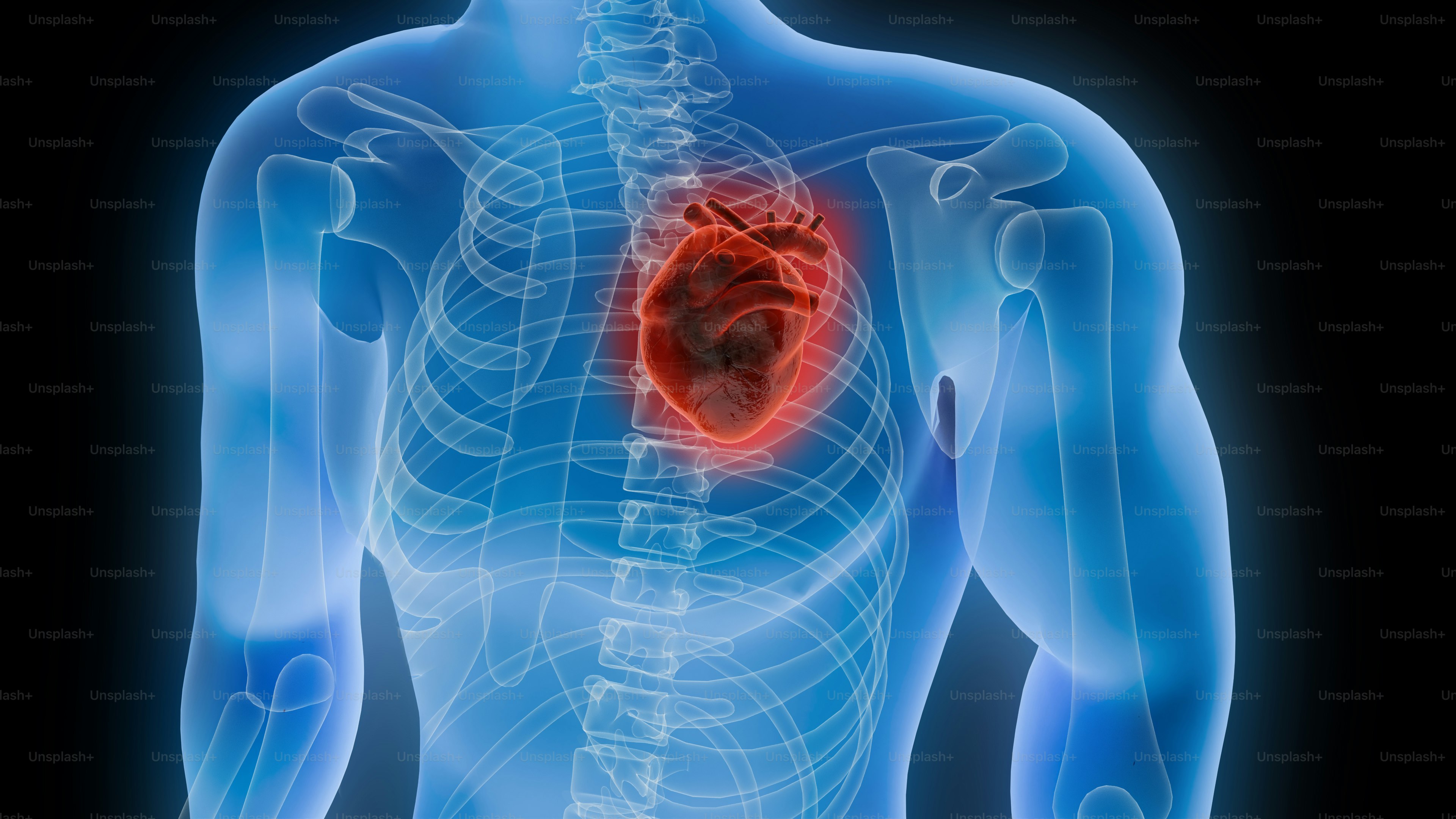 A human body with a heart in the middle of it photo – Medical ...