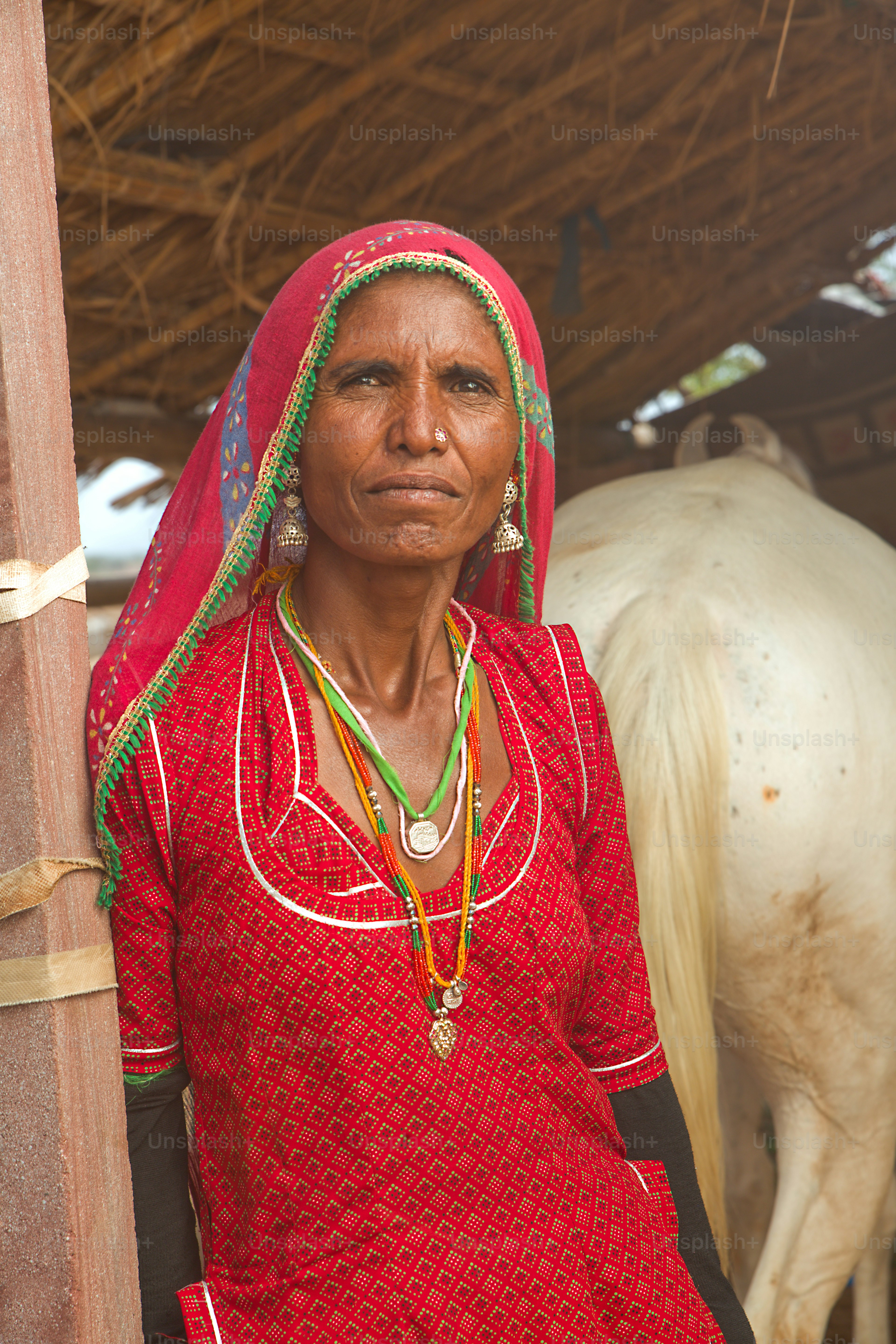 50,000+ Village Woman Pictures | Download Free Images on Unsplash