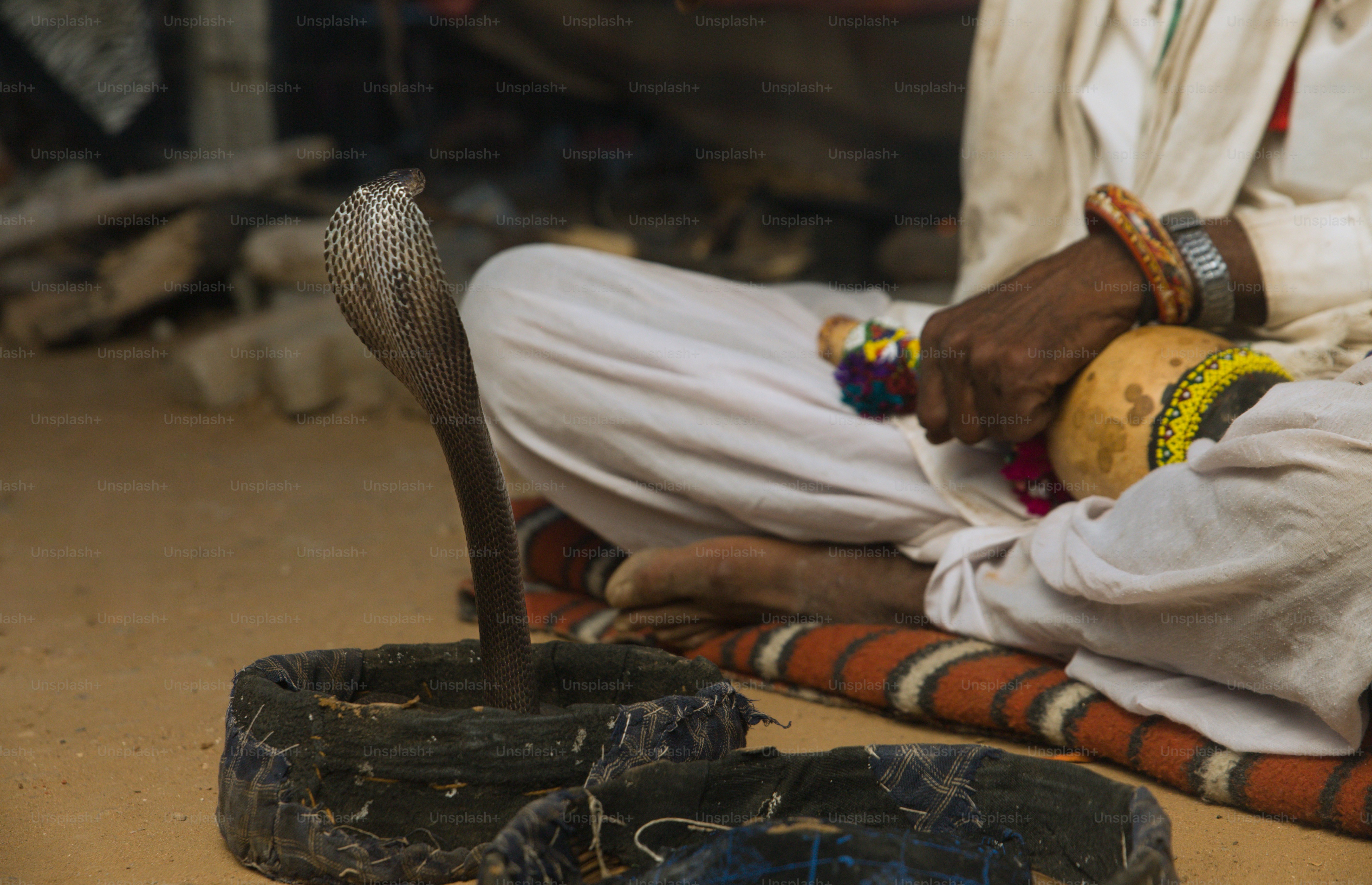 A man sitting on the ground next to a snake photo – Tribe Image on Unsplash