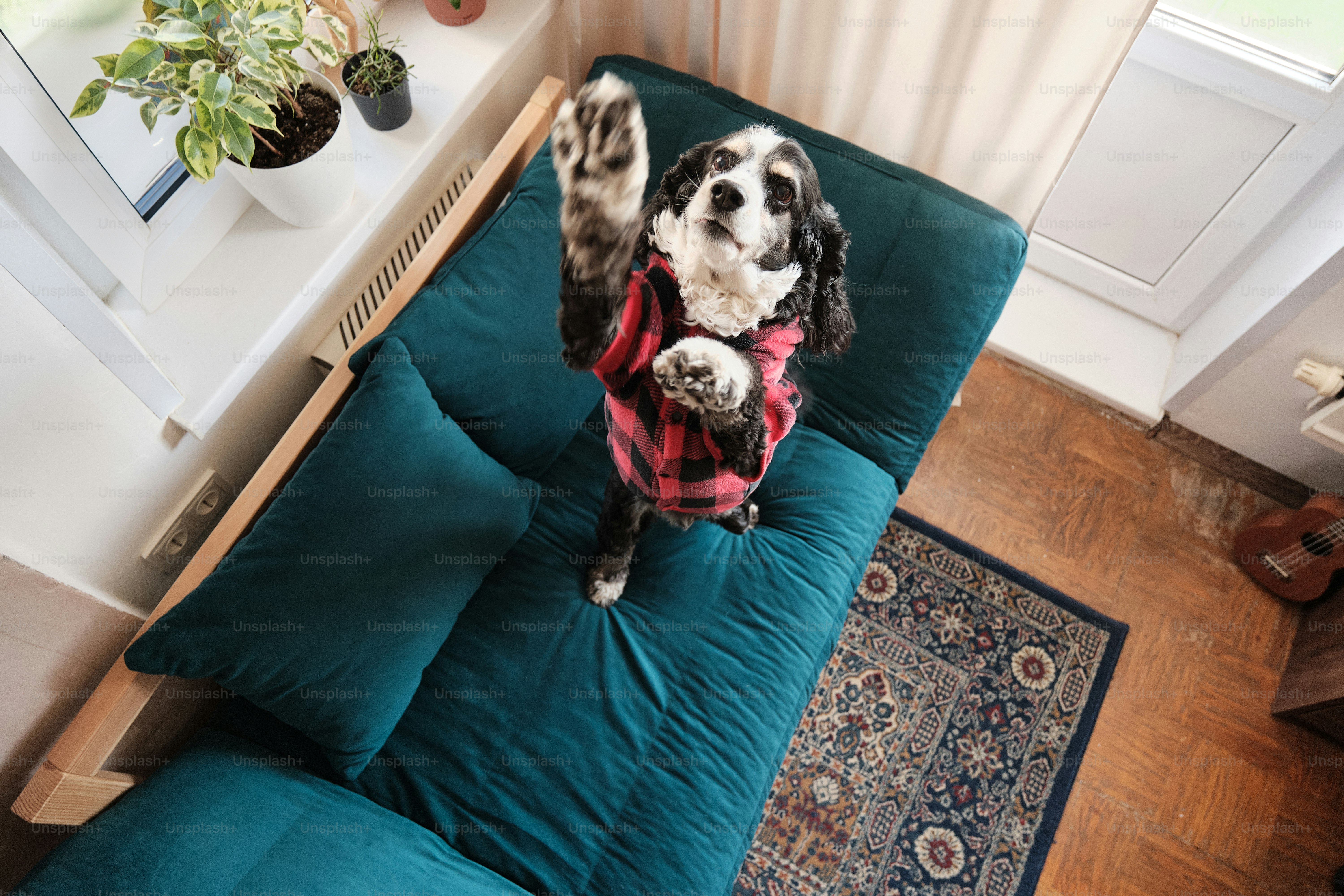 200+ Beg Pictures | Download Free Images on Unsplash