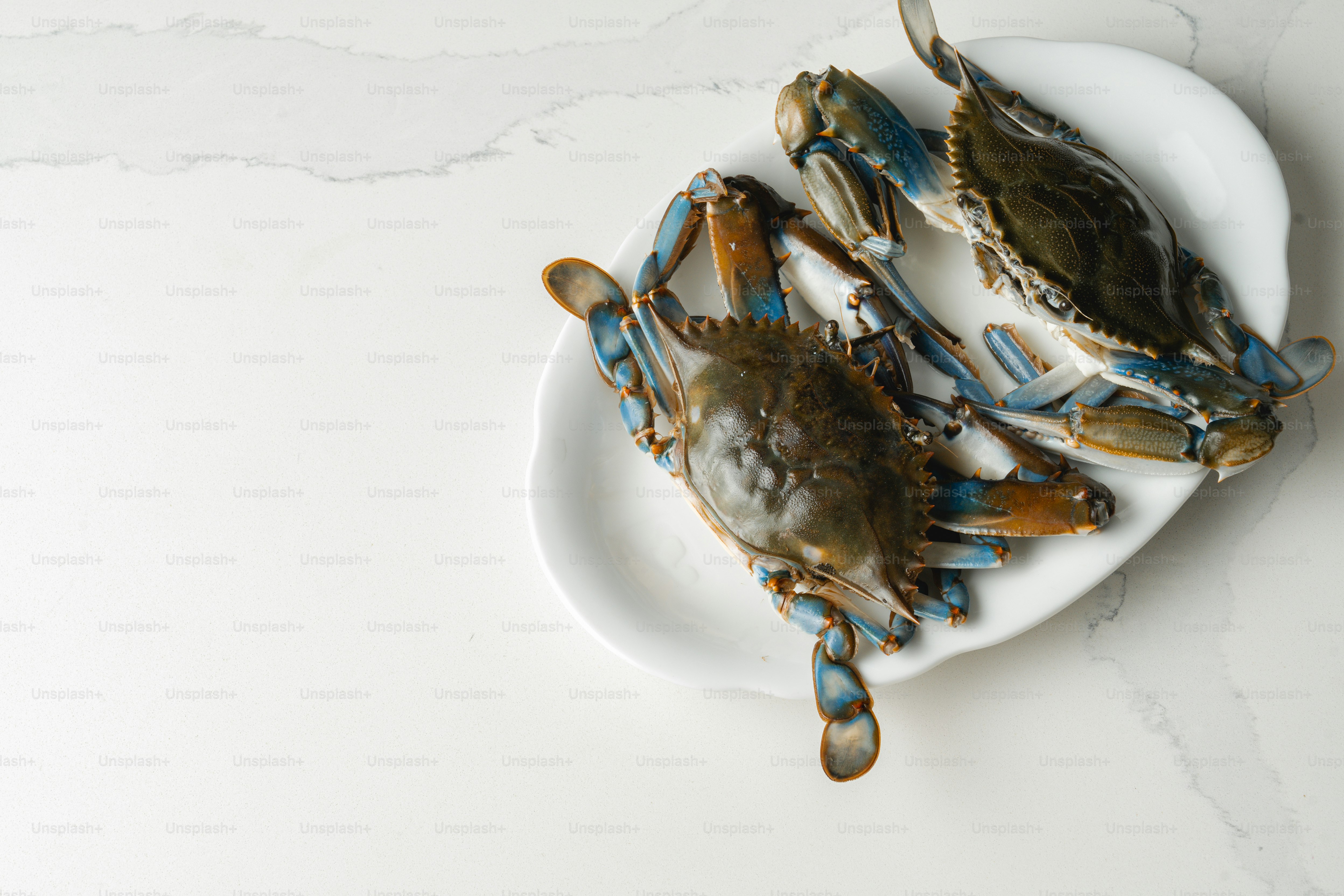 Three blue crabs are on a white plate photo – Gourmet seafood Image on ...