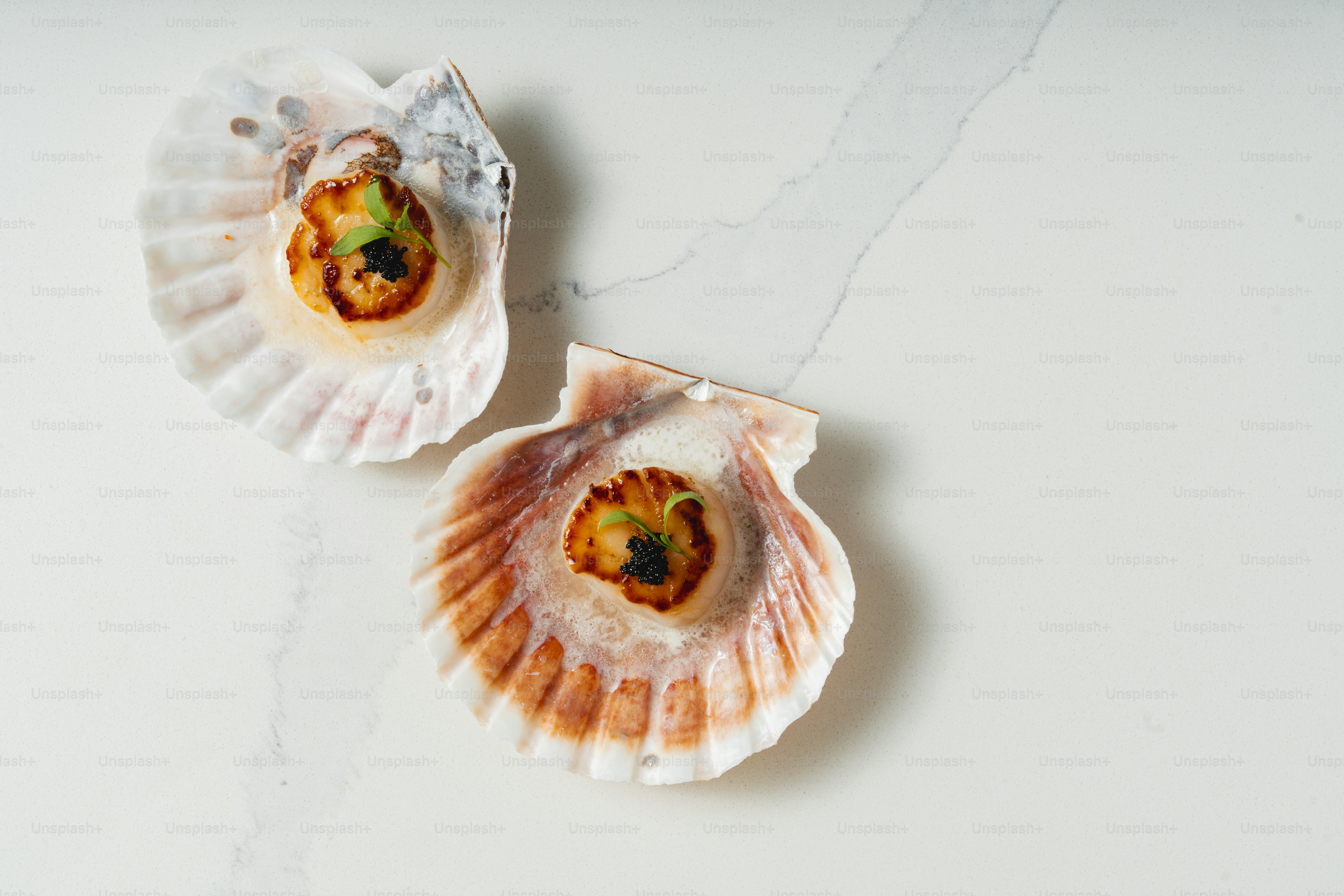 Dos conchas de vieira colocadas encima de un mostrador blanco foto ...