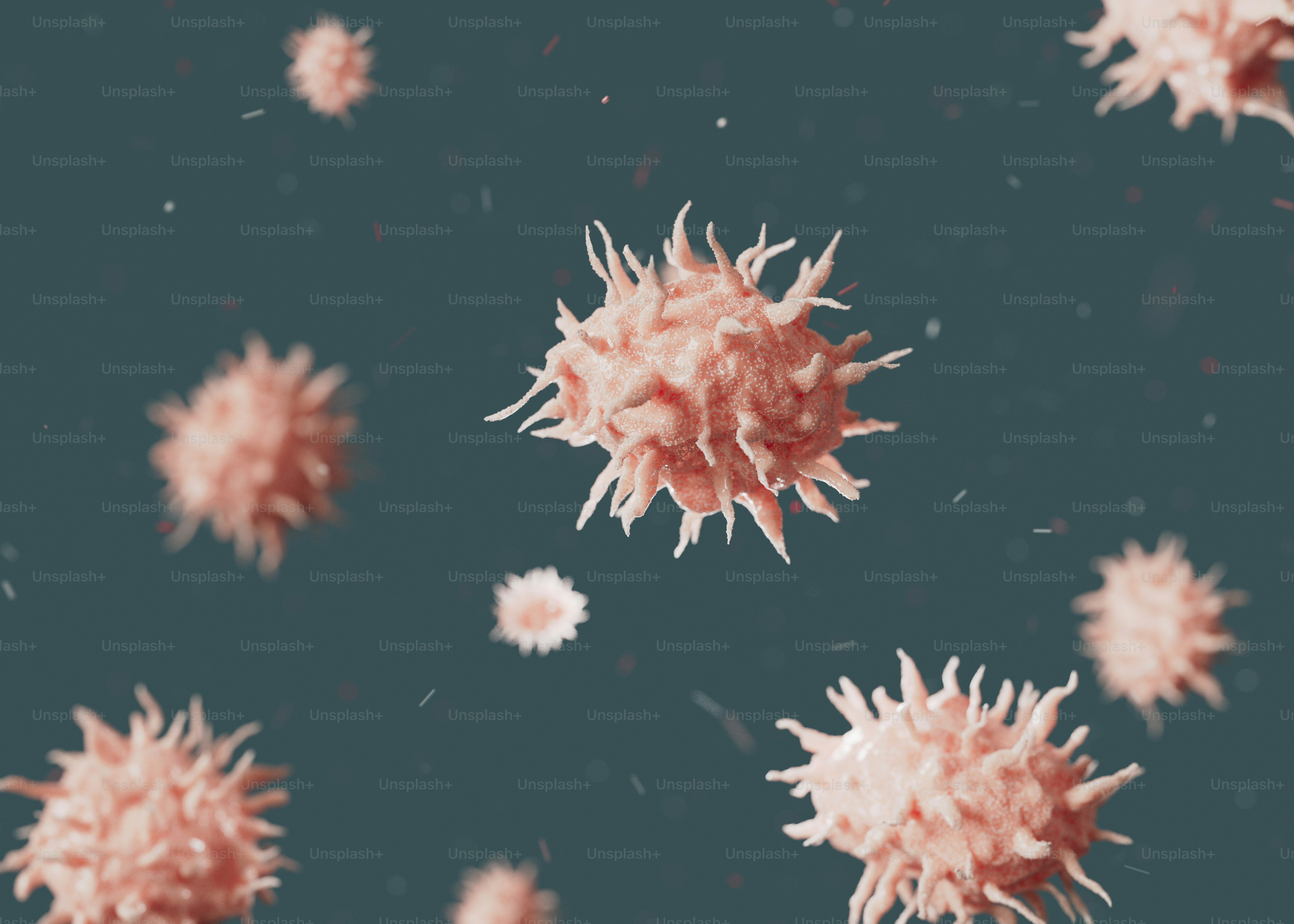 A group of red and white germs on a black background photo – Cancer ...