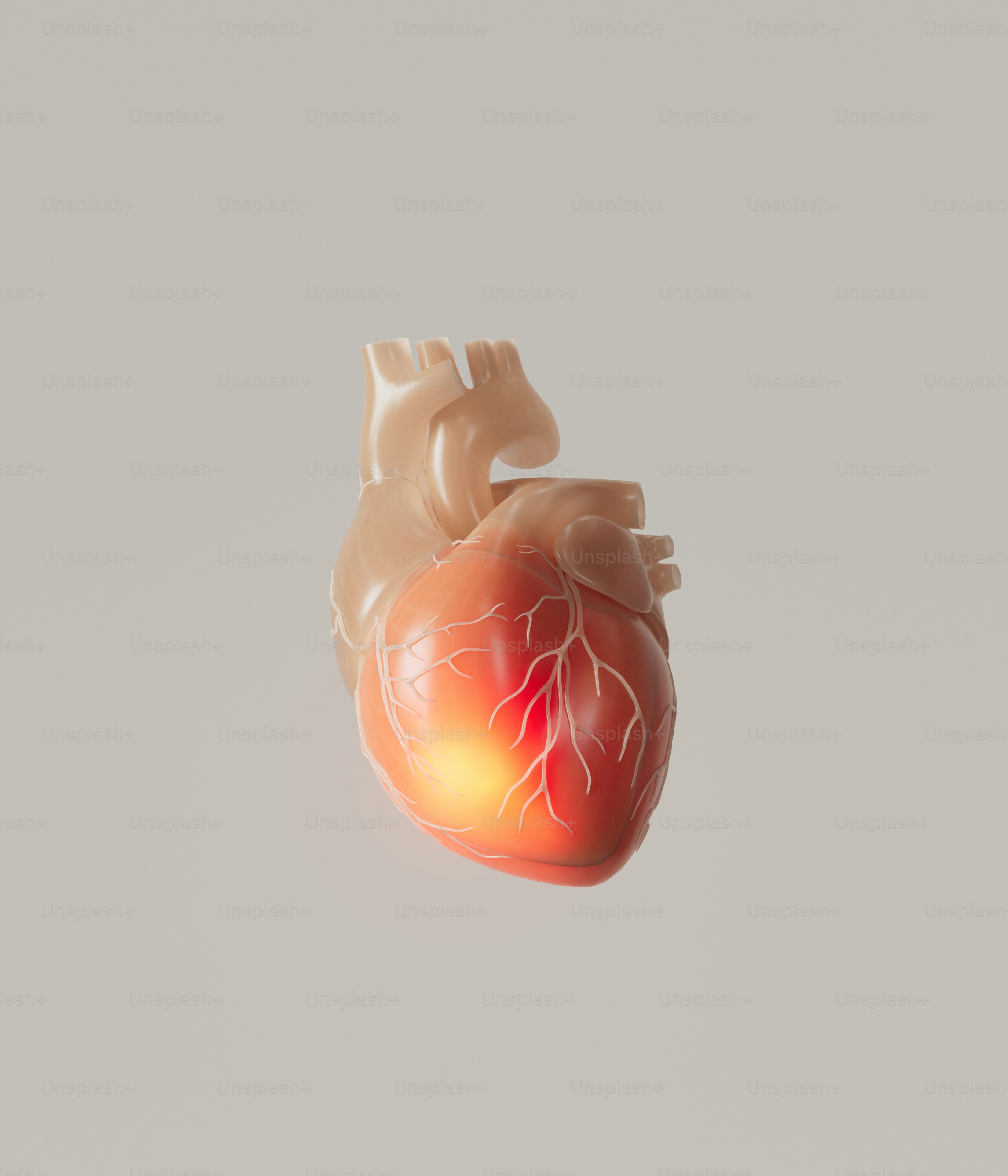 Download Free Real Heart Pictures [HD] | Unsplash