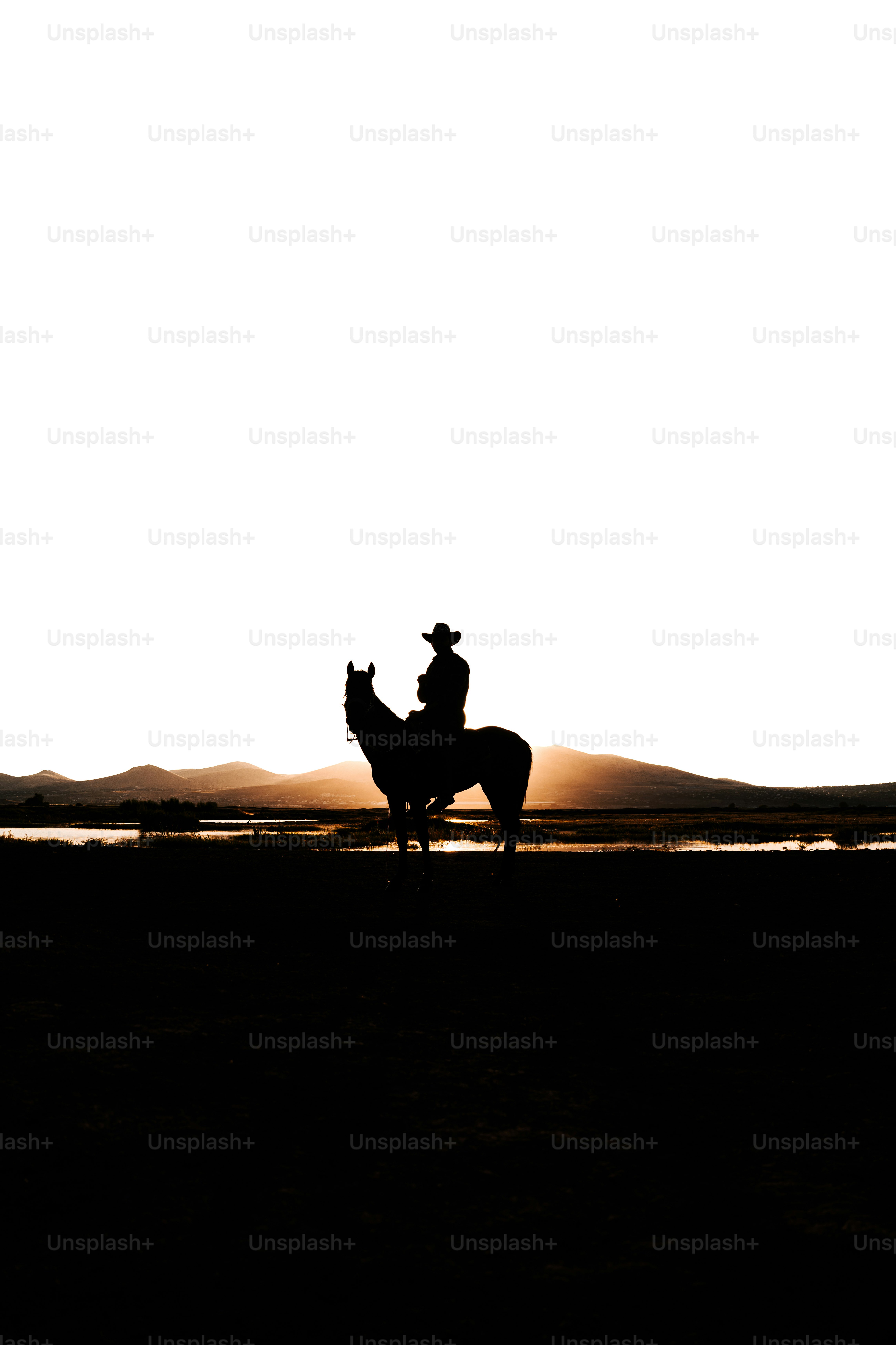 30k+ Rodeo Pictures | Download Free Images on Unsplash