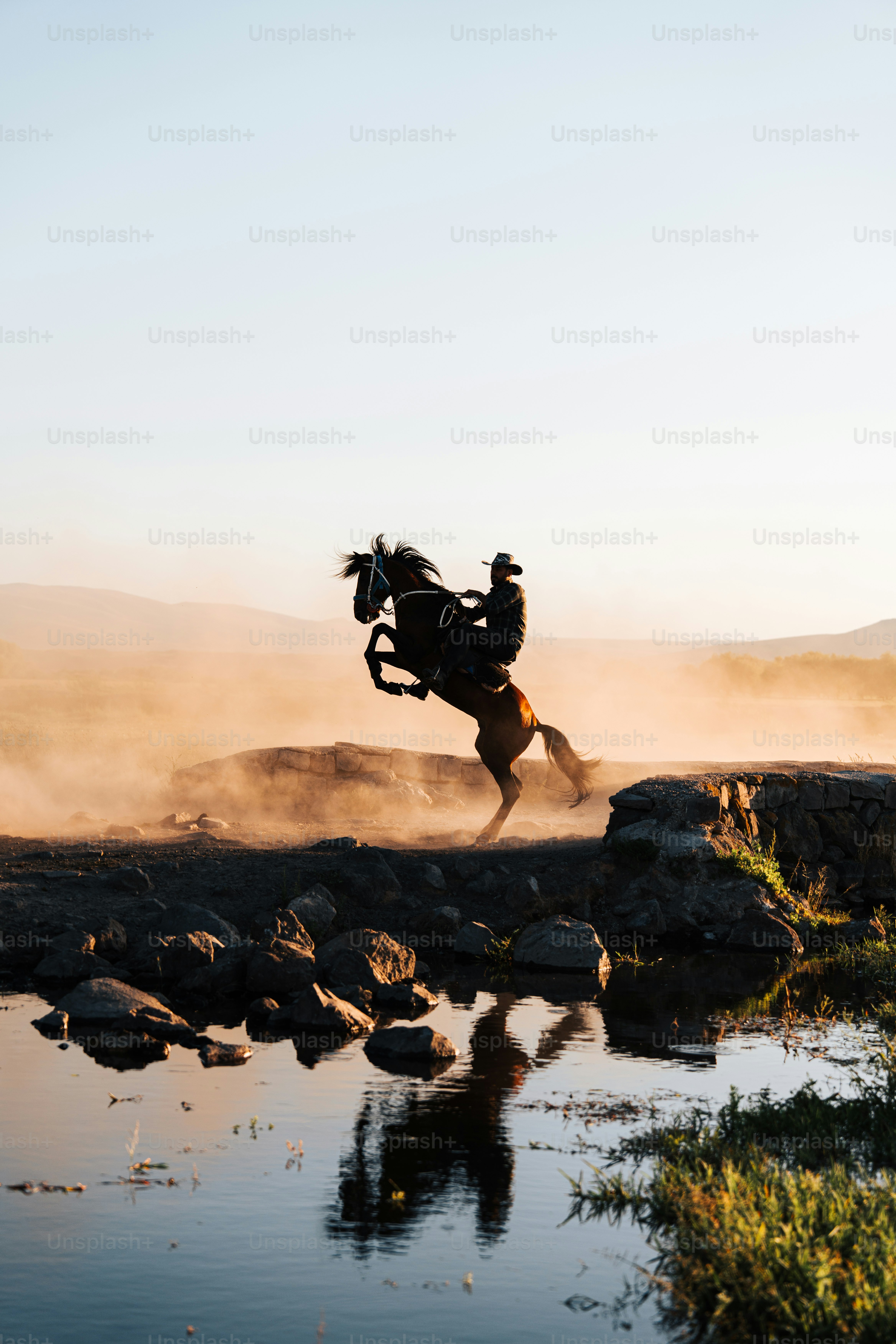 350+ Cowboy Pictures [HD] | Download Free Images & Stock Photos on Unsplash