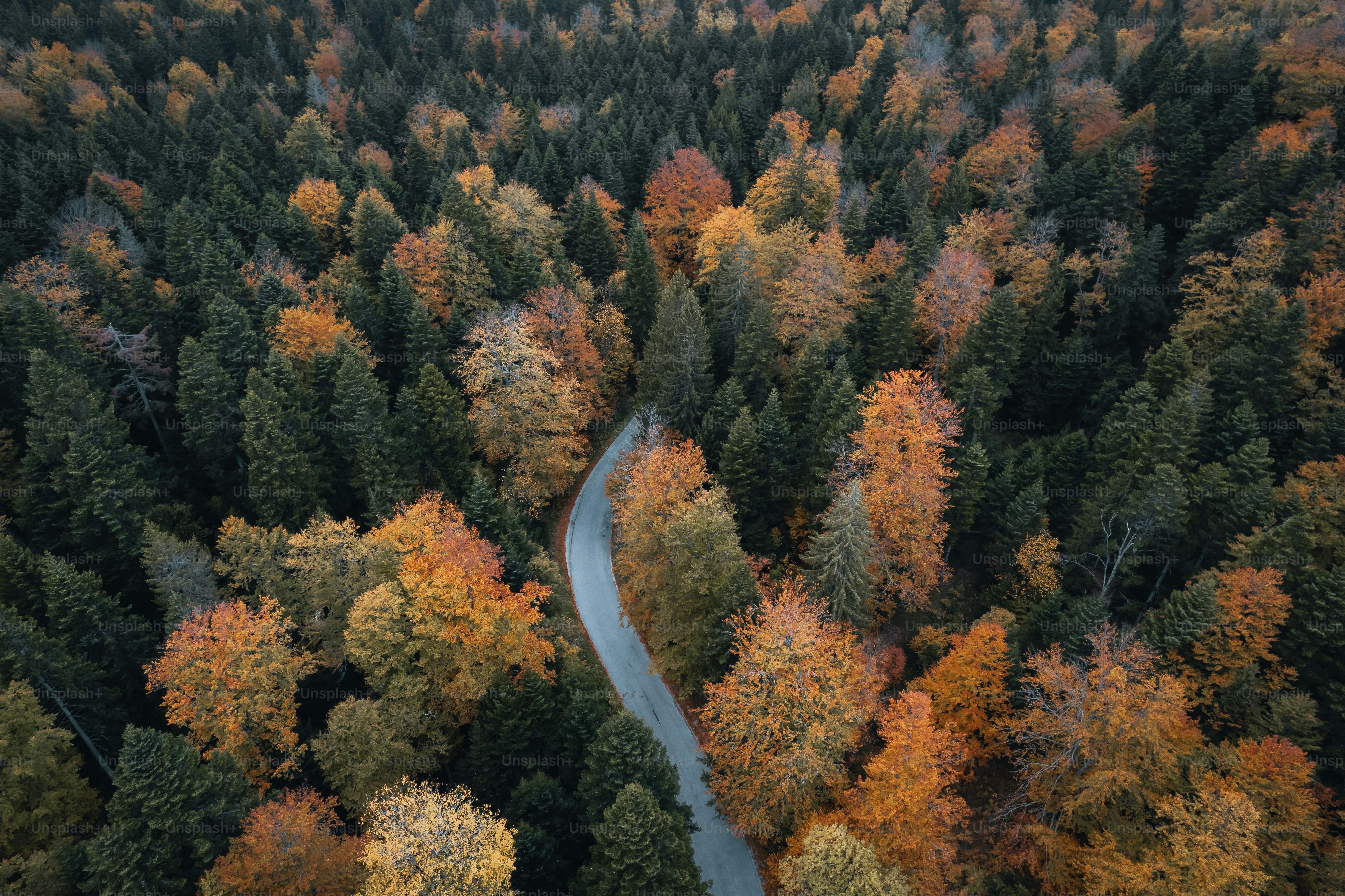 A satellite image of a mountain range photo – 3d render Image on Unsplash