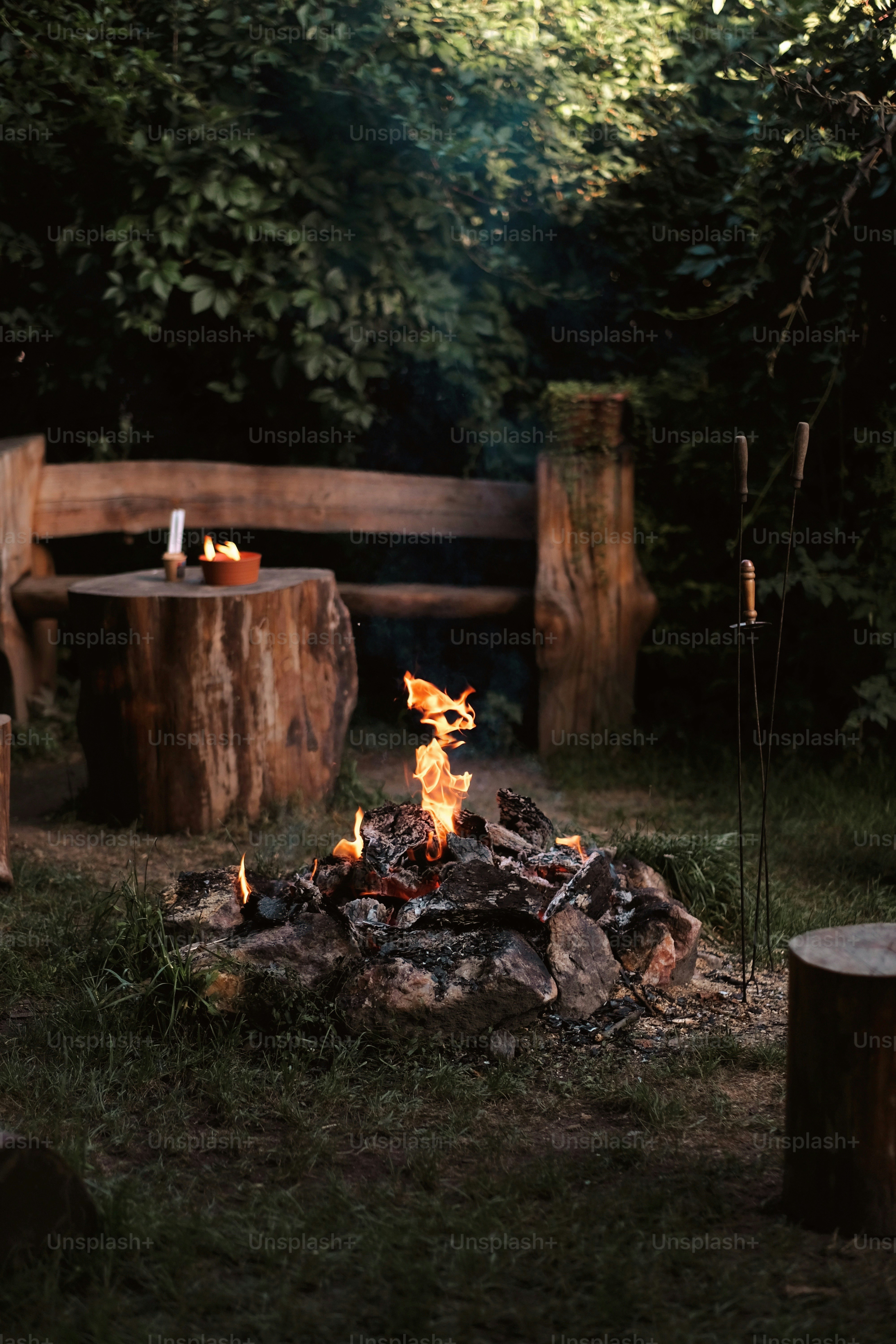 A fire pit in the middle of a forest photo – Autumn Image on Unsplash
