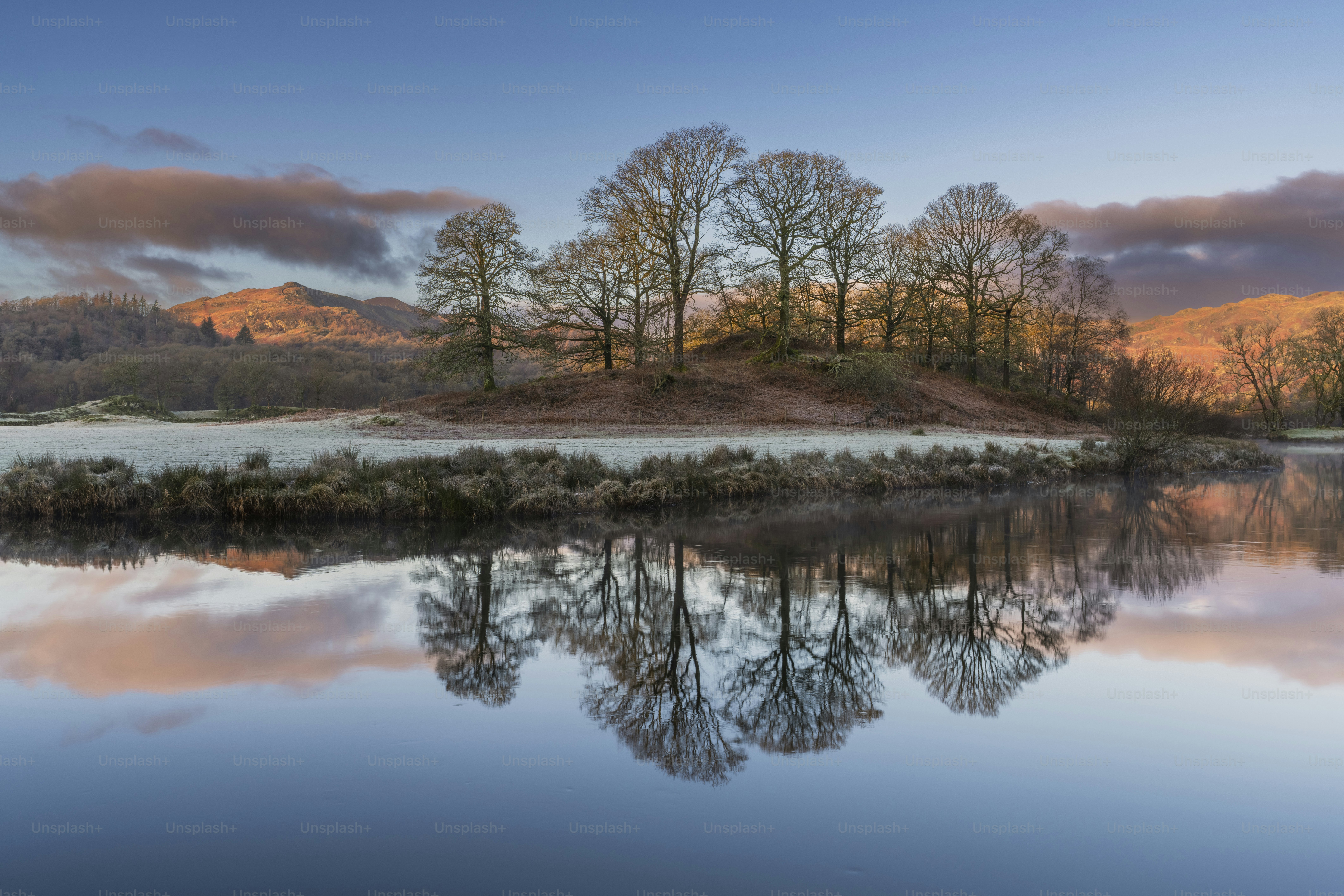 A large body of water surrounded by trees photo – Elterwater Image on ...