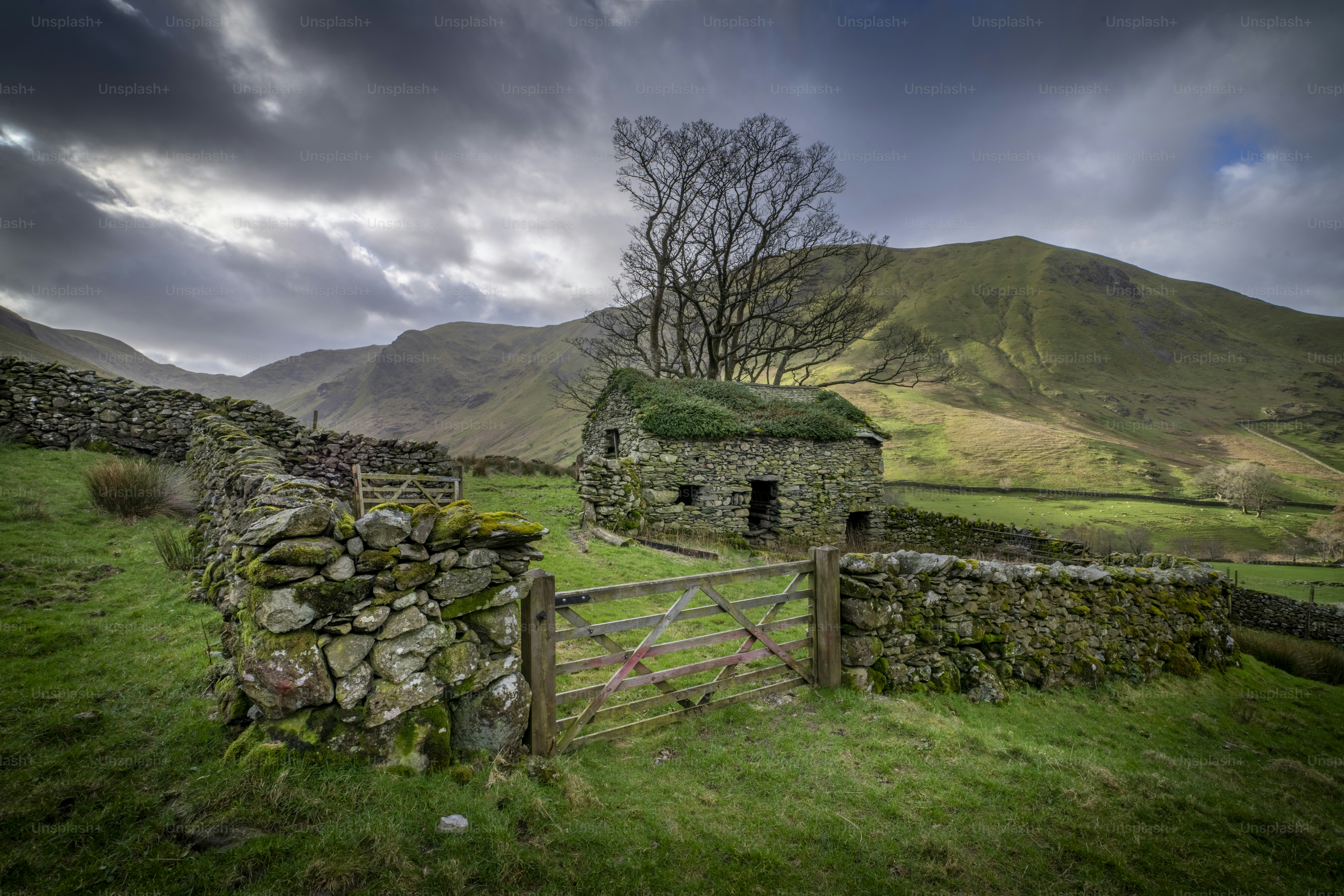 A lone tree in the middle of a rocky landscape photo – Ingleton Image ...