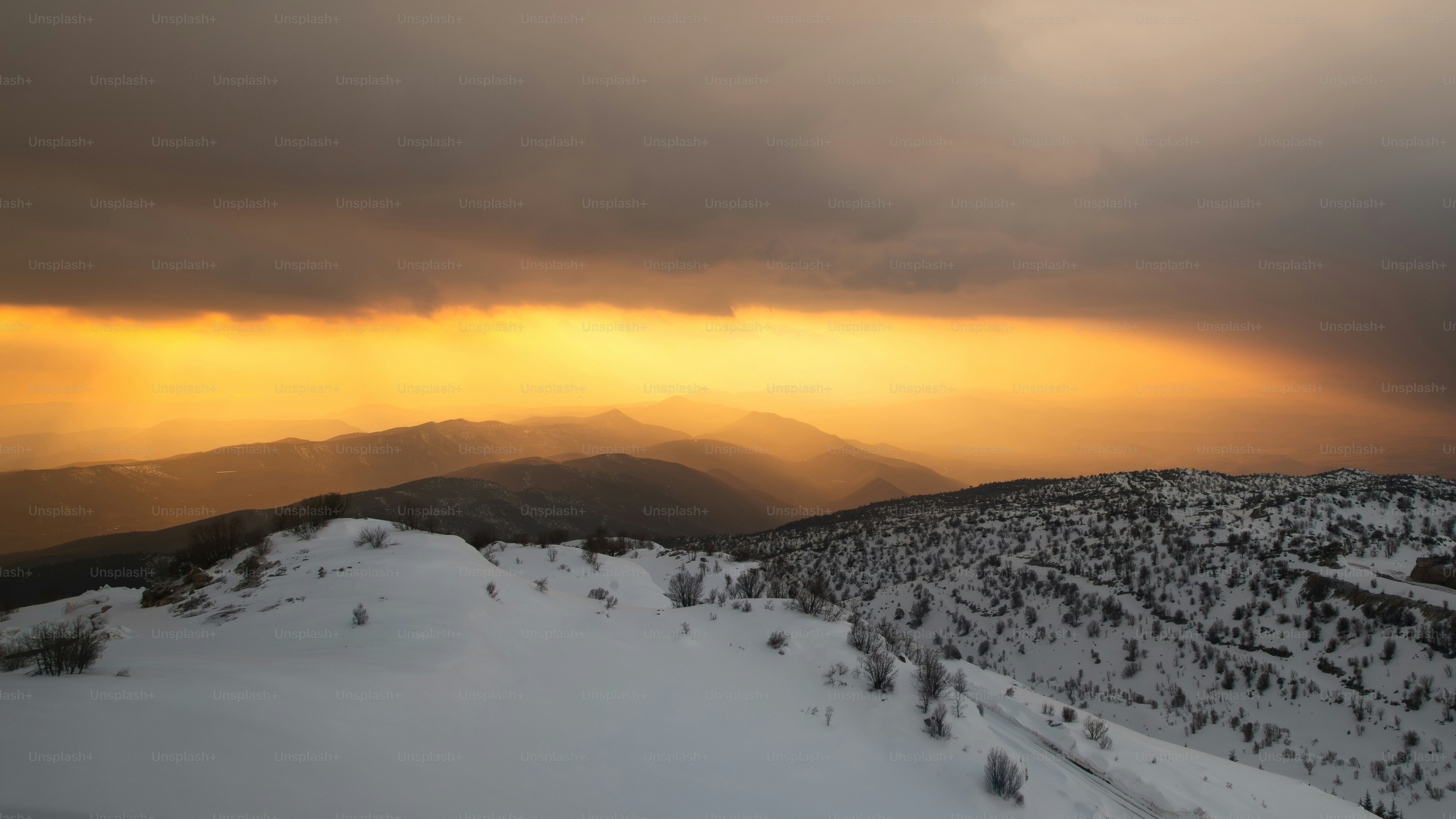 Diyar Shahbaz (@diyarshahbaz) | Unsplash Photo Community