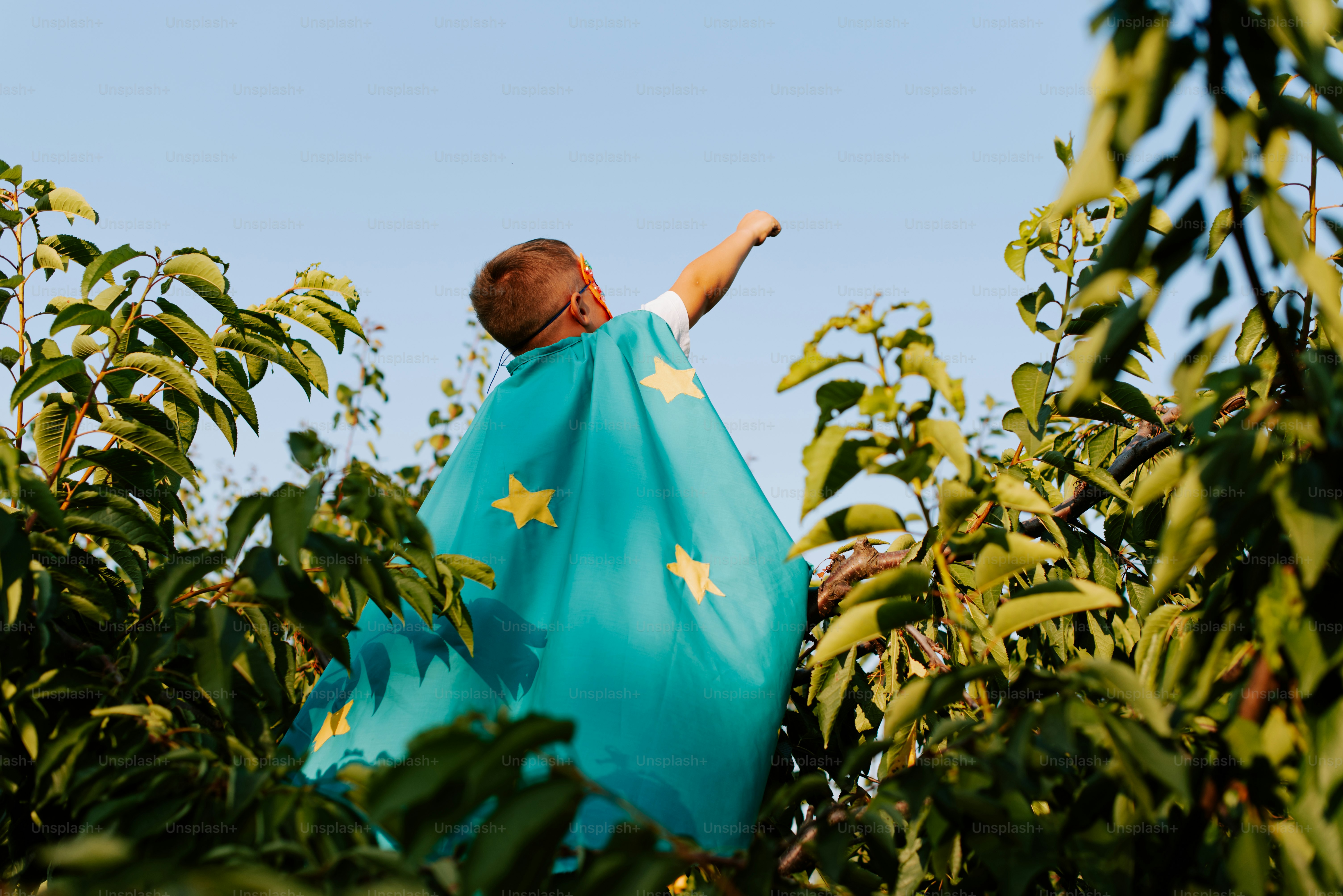 Cape Pictures | Download Free Images on Unsplash