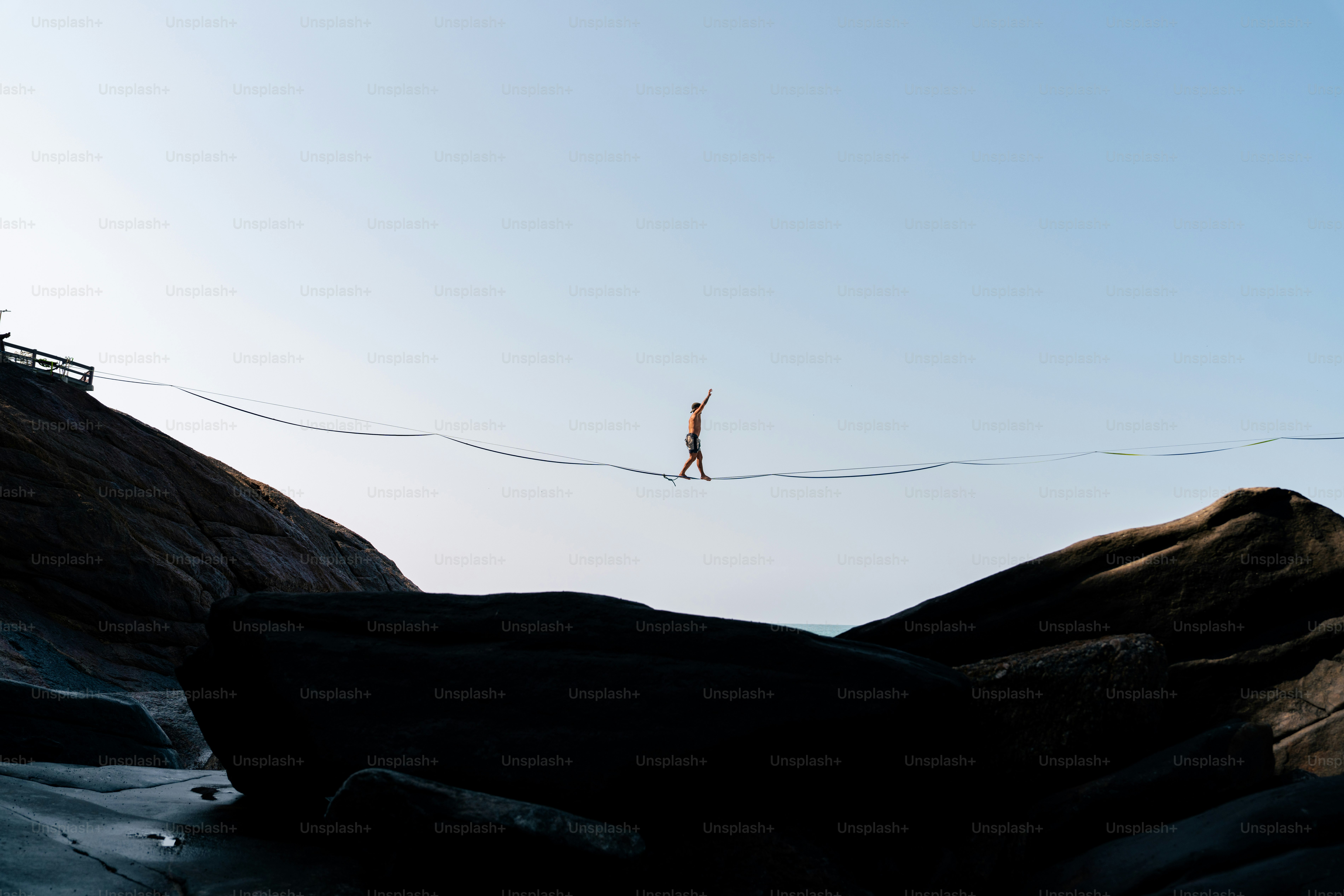 30,000+ Agility Pictures | Download Free Images on Unsplash