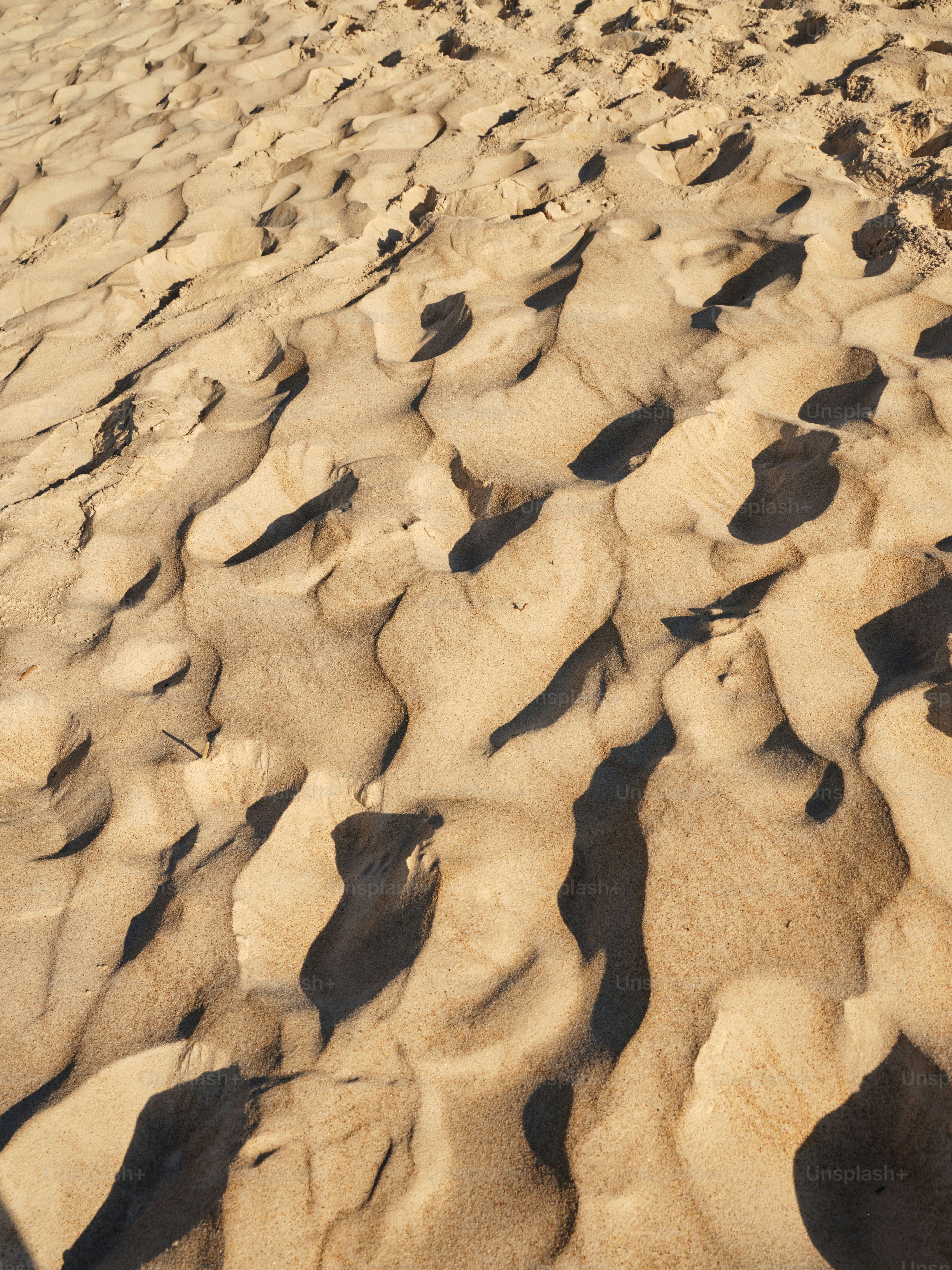 A sandy beach covered in lots of sand photo – Sand Image on Unsplash