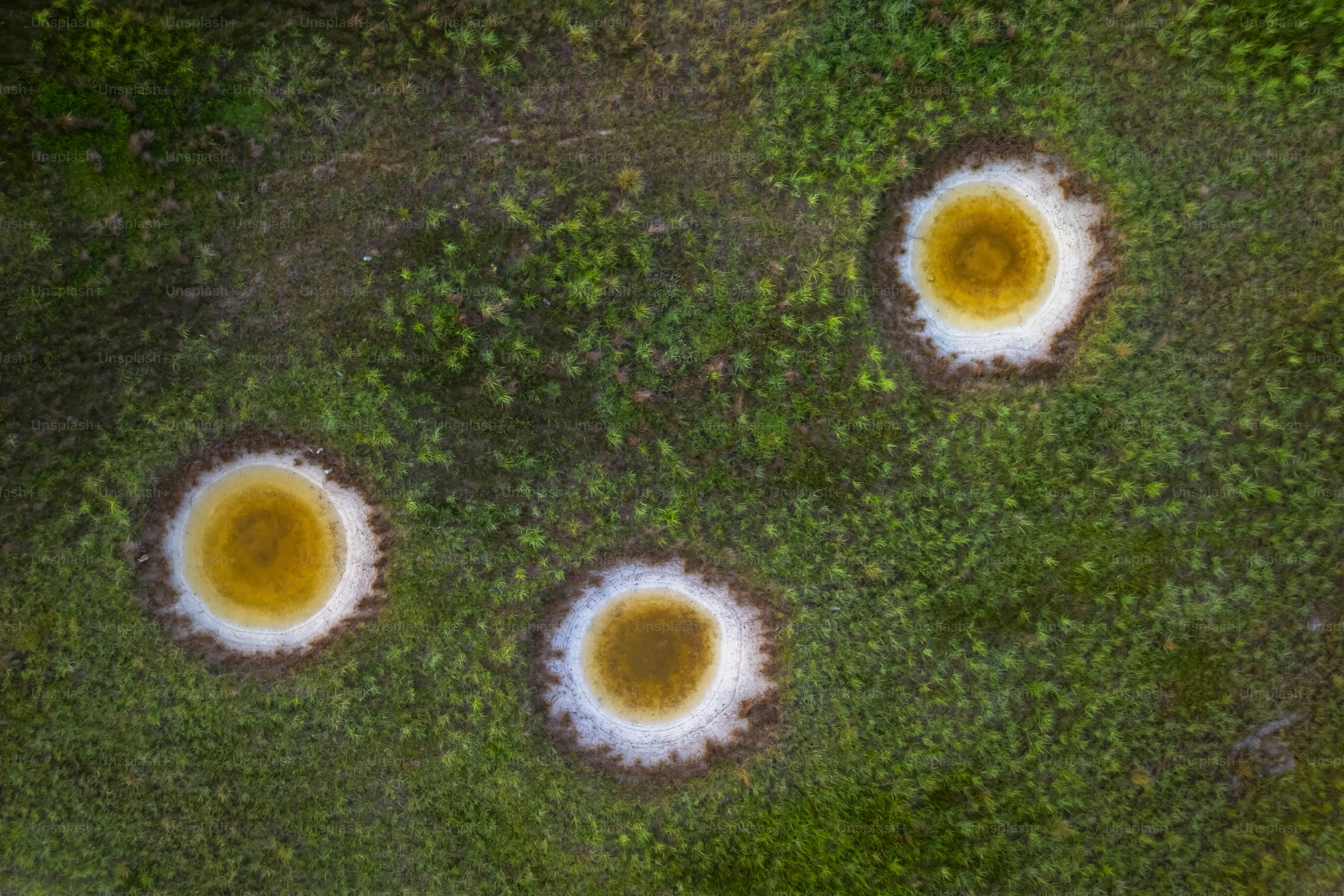 Daniel Mirlea (@danielmirlea) | Unsplash Photo Community