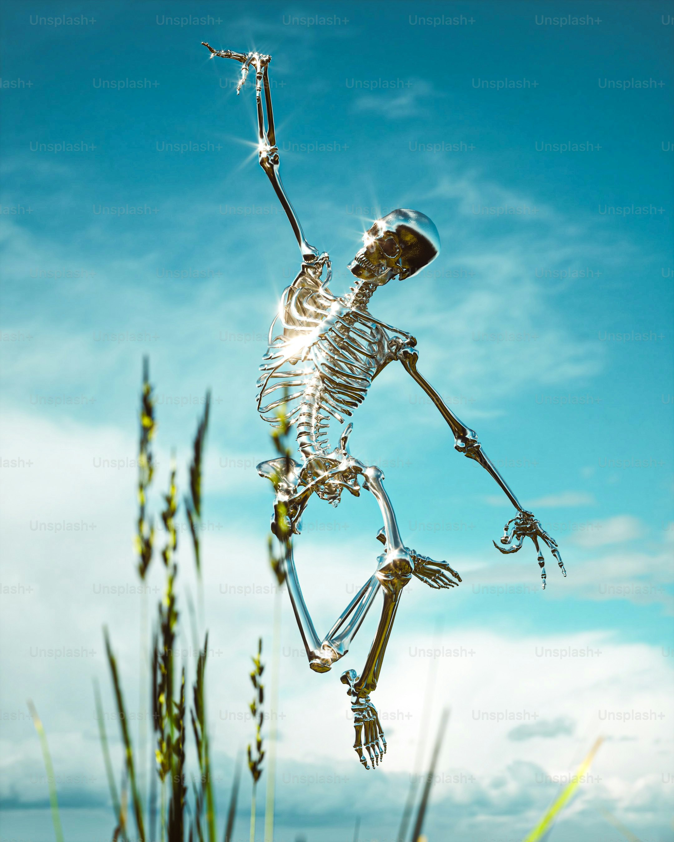 A skeleton standing in a field of tall grass photo – Glare Image on ...