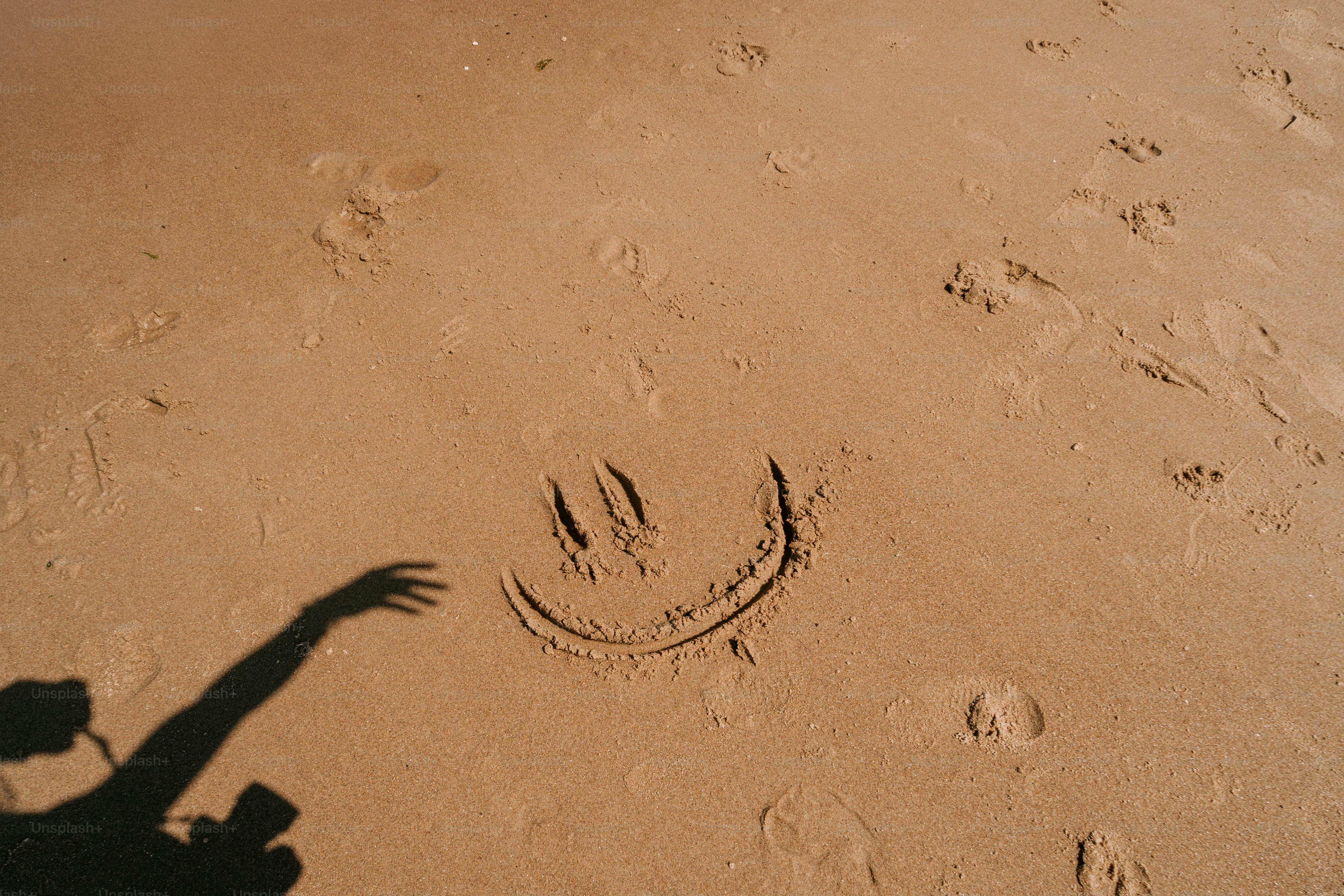 500+ Smiley Face Pictures | Download Free Images on Unsplash