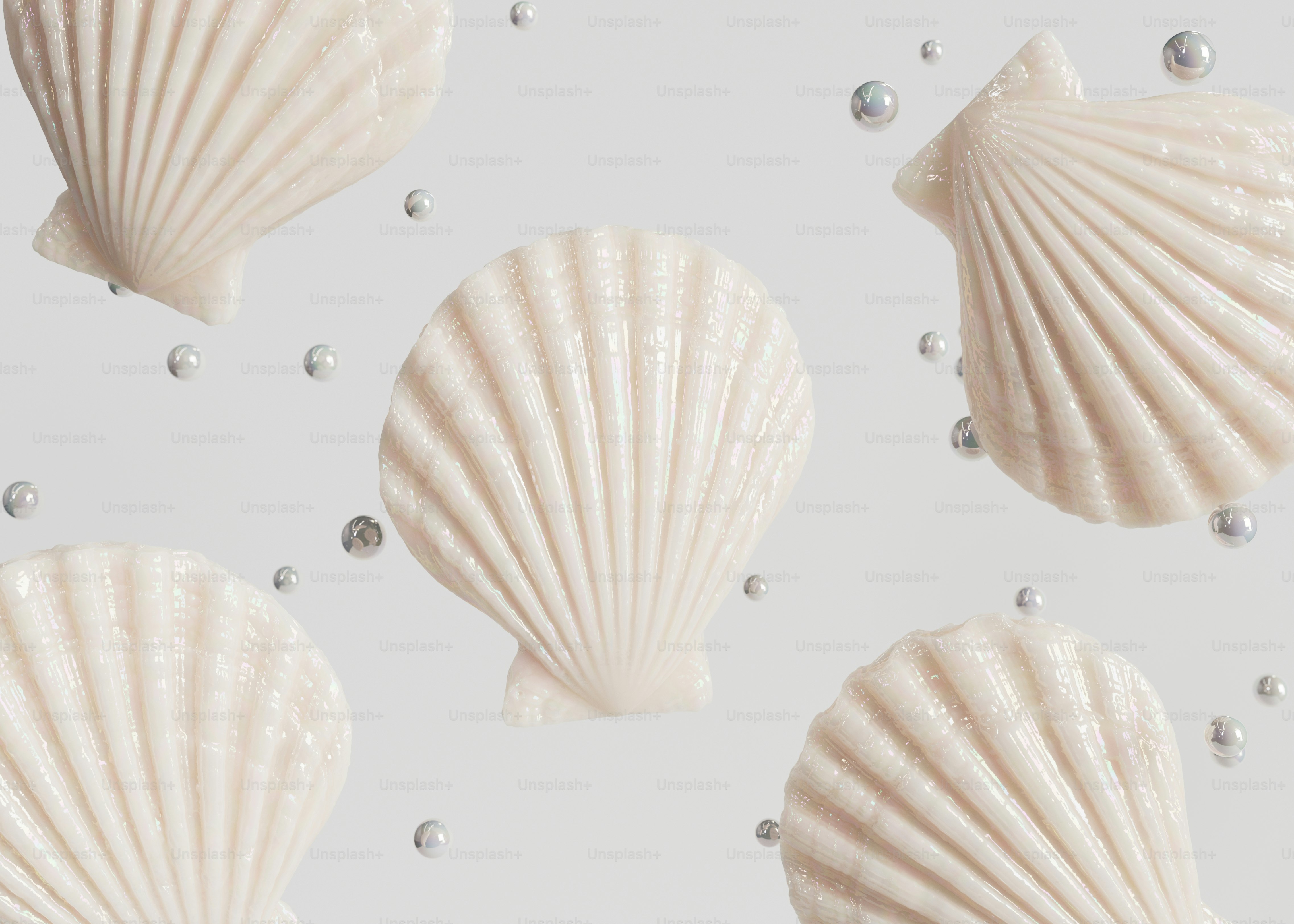 Shell Pictures | Download Free Images on Unsplash