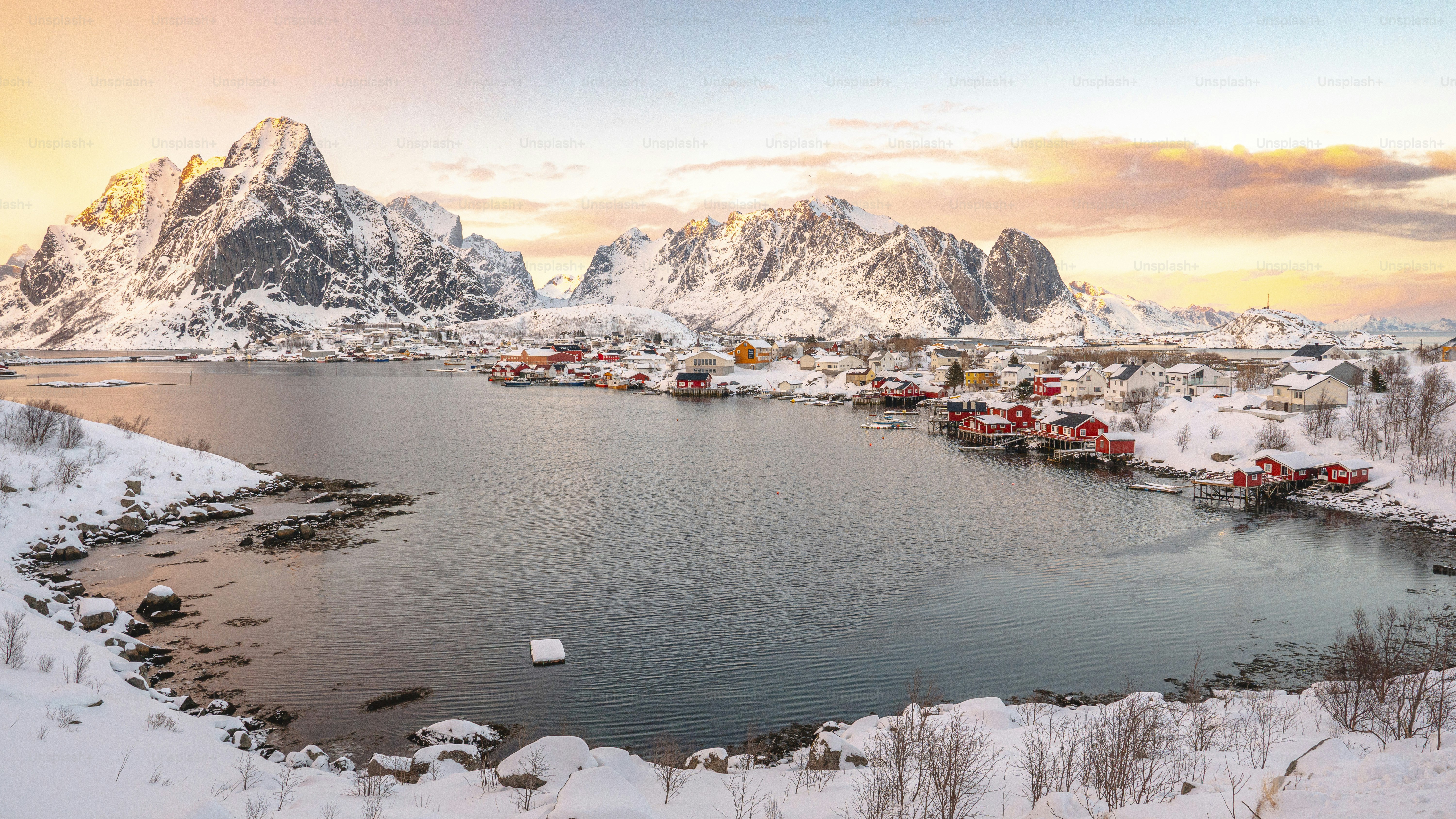 Reine Pictures | Download Free Images on Unsplash