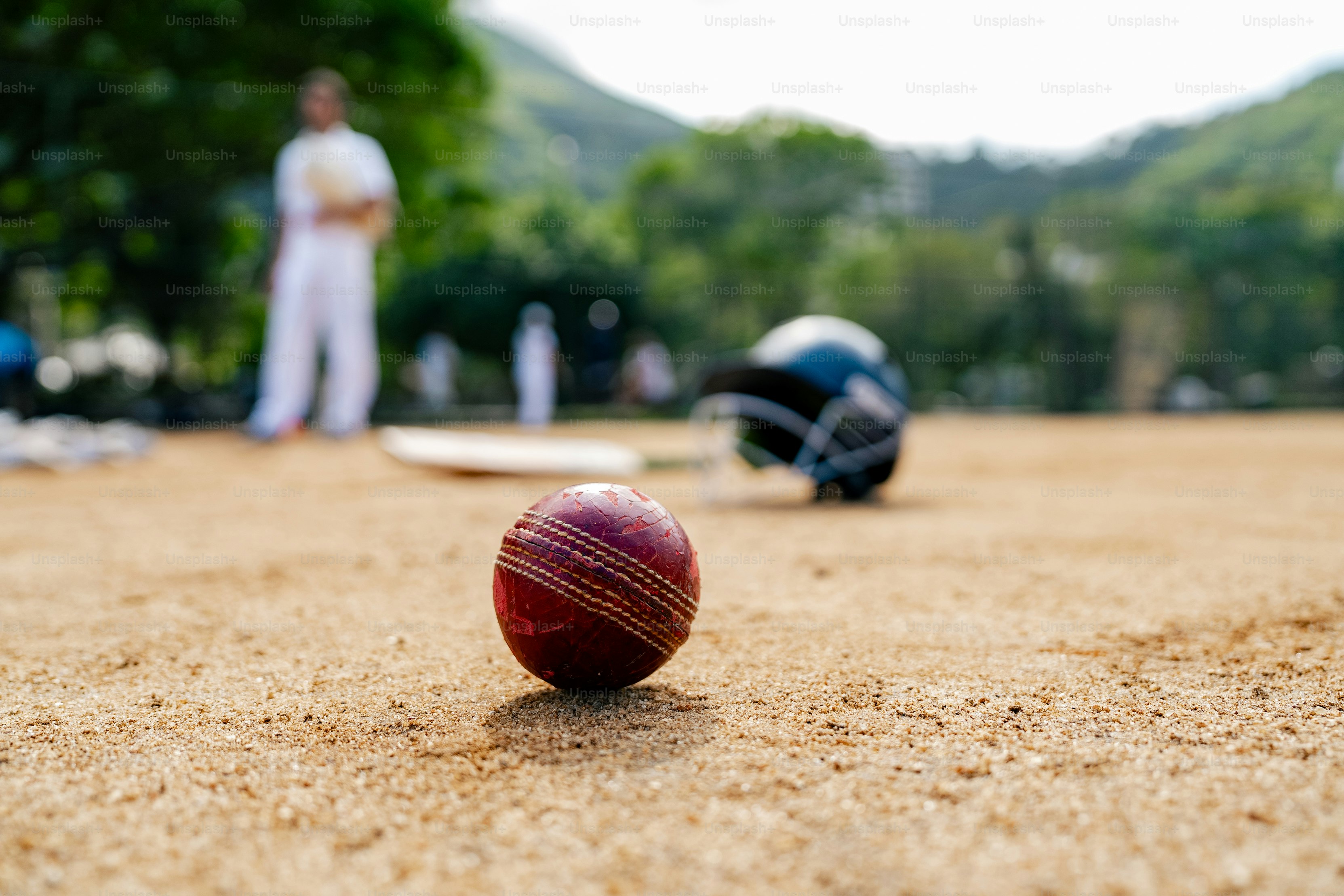 A group of young men playing a game of cricket photo – Athletes Image ...