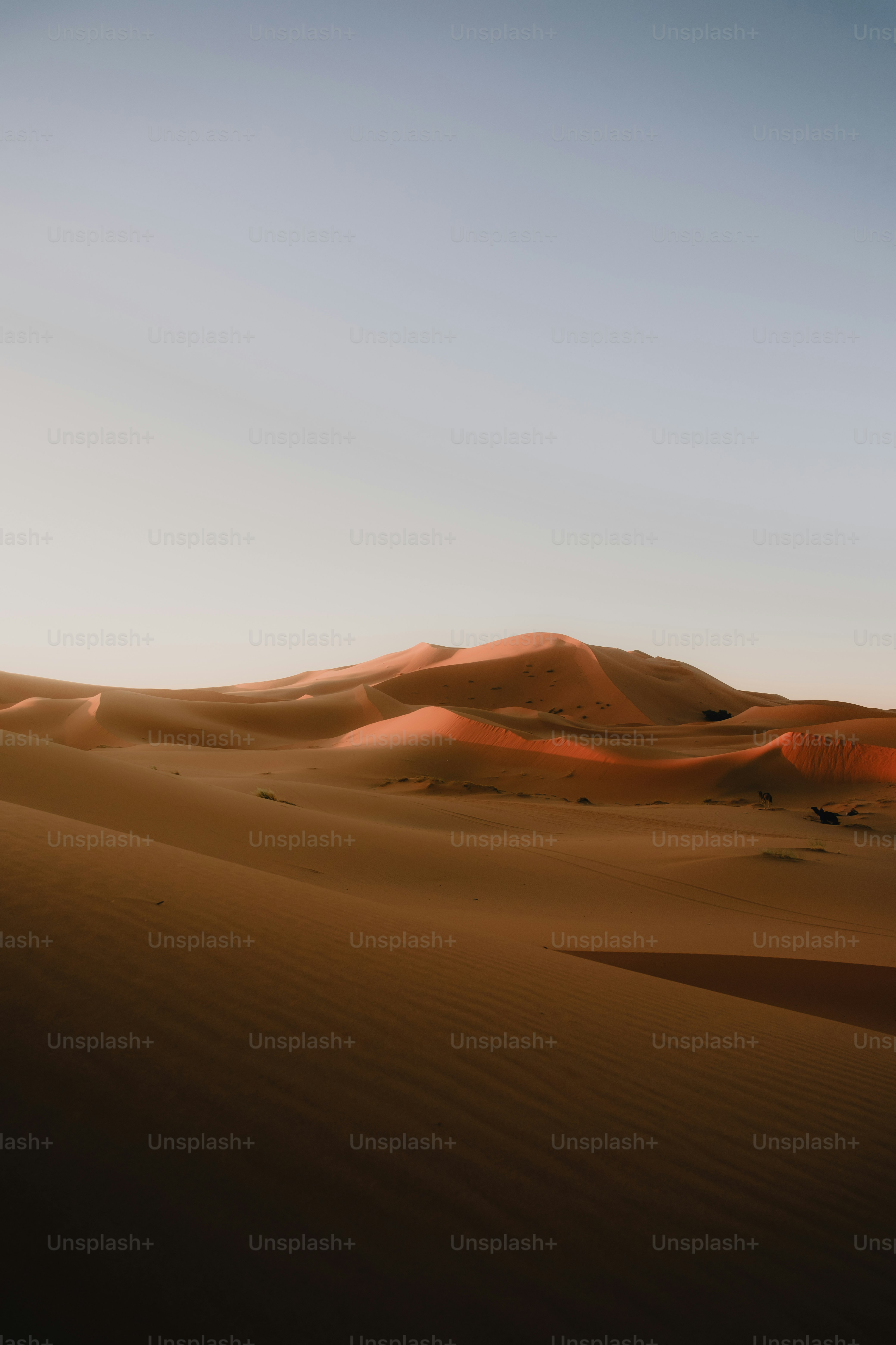 A desert landscape with sand dunes and a blue sky photo – Sahara desert ...