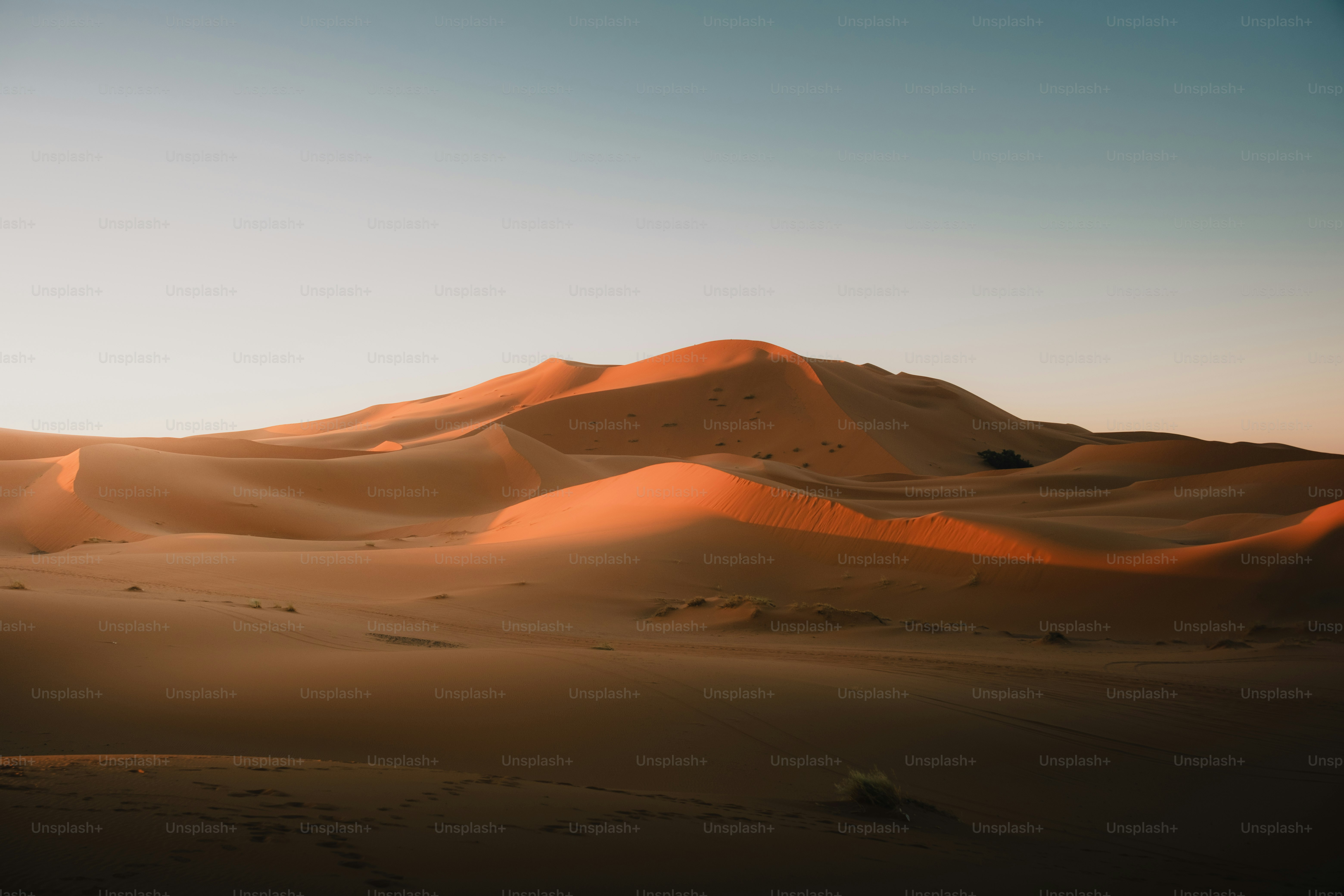 Un paisaje desértico con dunas de arena y una montaña a lo lejos foto ...