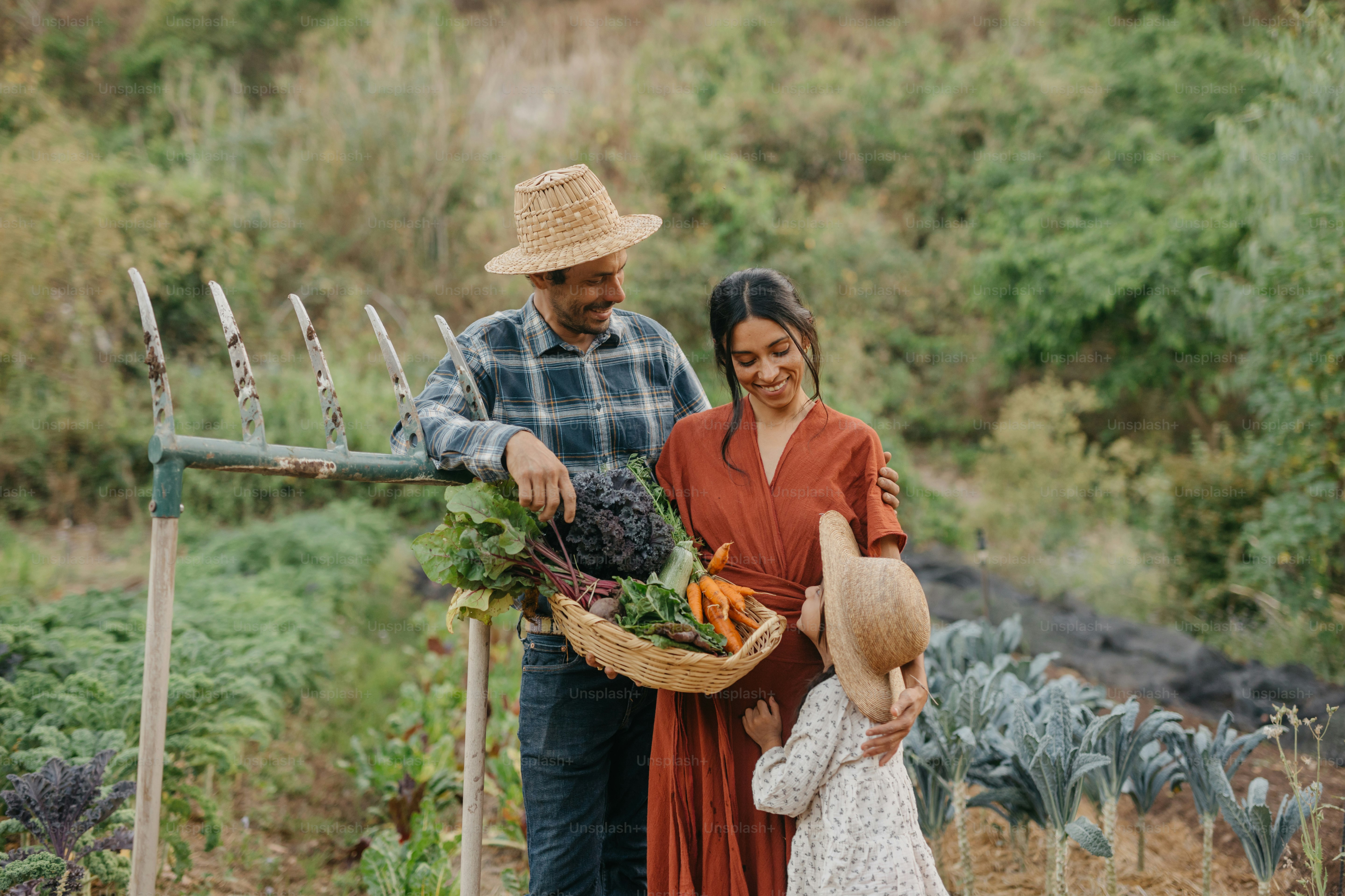 Un homme et une femme tenant un panier de légumes photo – Image de ...