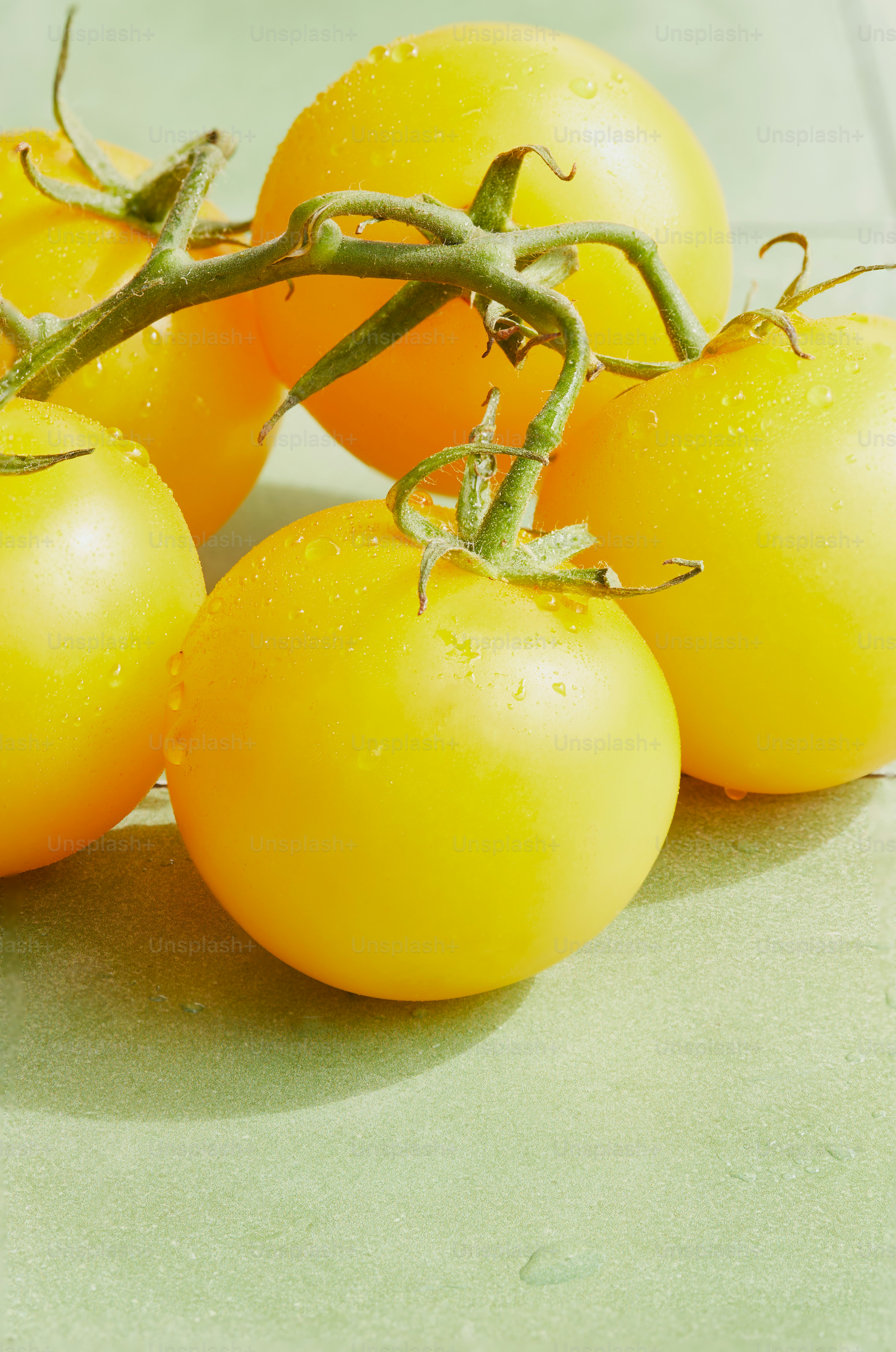 A group of tomatoes sitting on top of a table photo – Vine riped ...