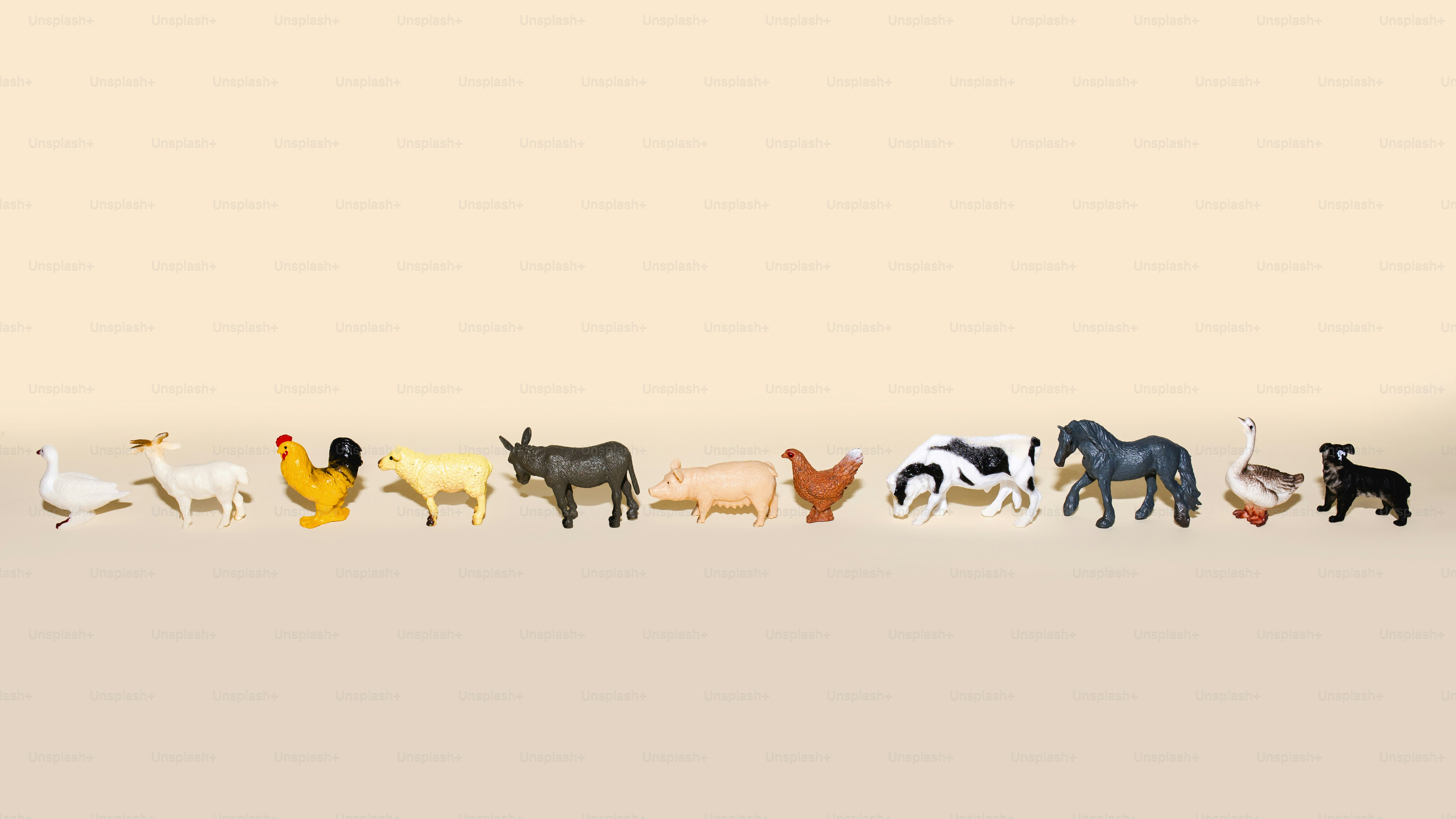 A group of farm animals standing in a row photo – Animal Image on Unsplash