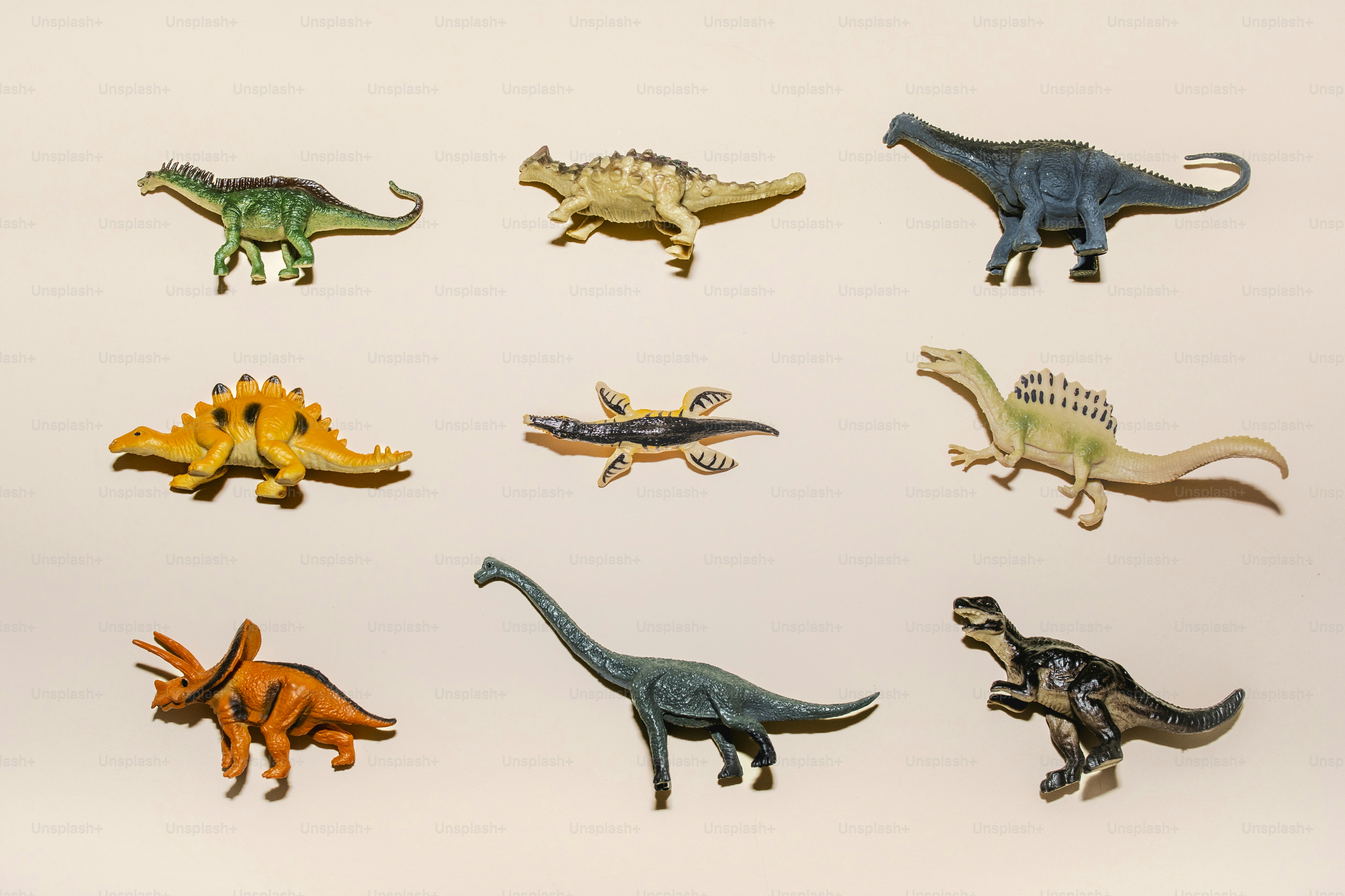 500+ Dinosaur Pictures [HQ] | Download Free Images on Unsplash